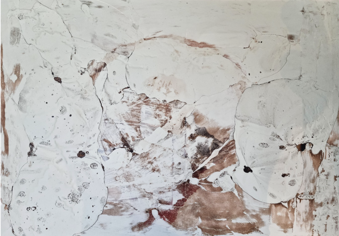 Interview with Ted Barr — Contemporary Art Curator Magazine