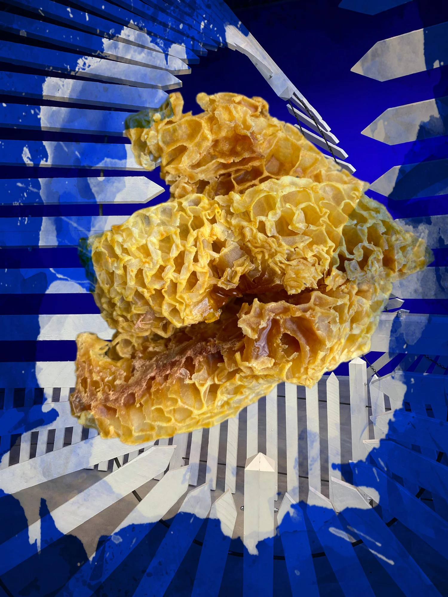 Interview with Natalie Egger — Contemporary Art Curator Magazine