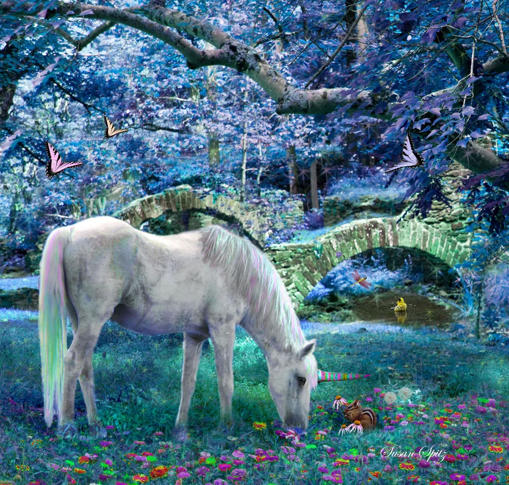 Artist Spotlight - Susan Spitz — Contemporary Art Curator Magazine