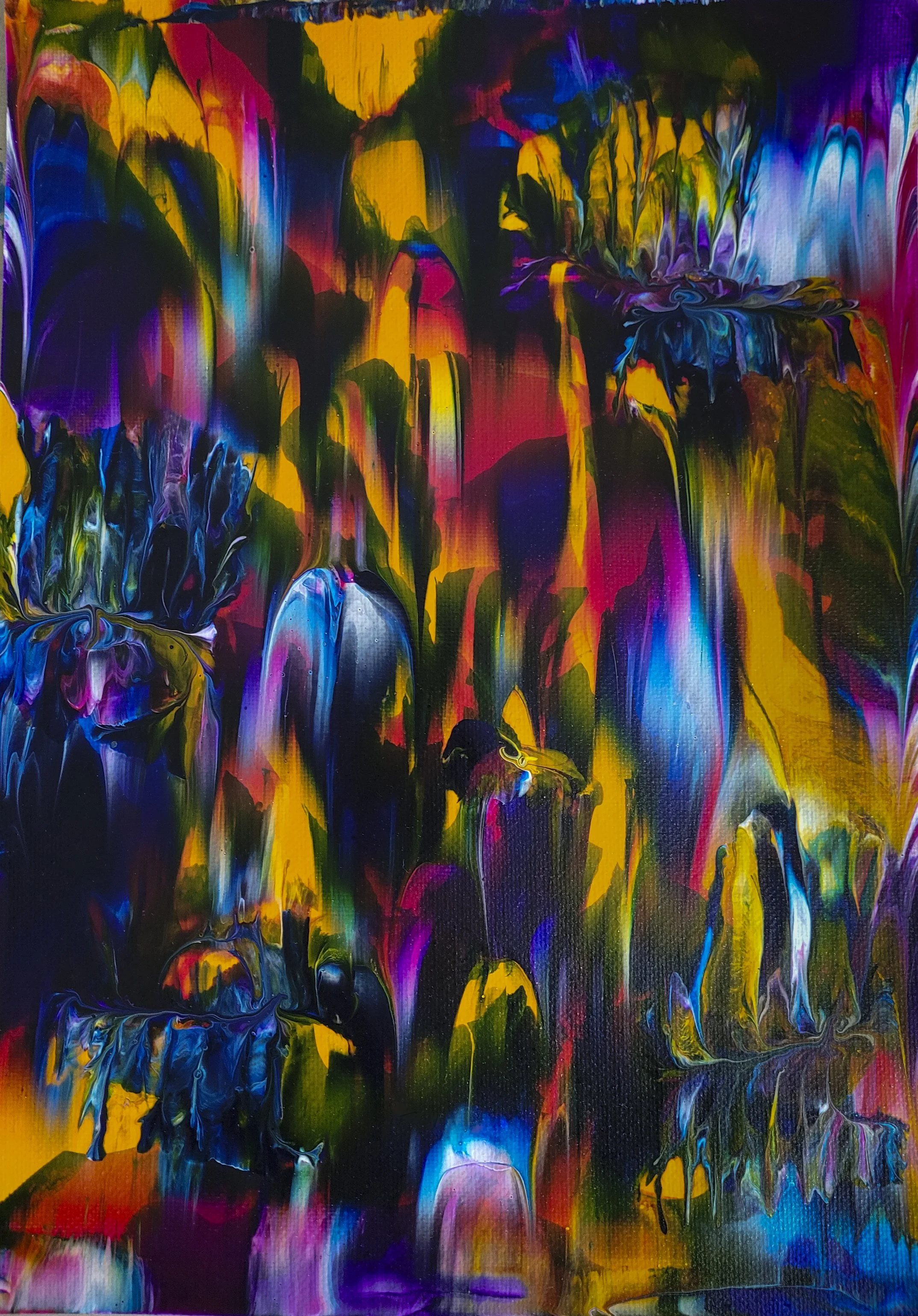 Interview with Donna Andronicos — Contemporary Art Curator Magazine