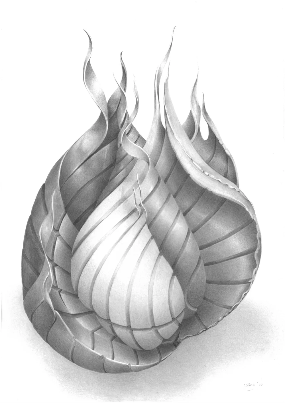 Interview with Symona Colina — Contemporary Art Curator Magazine