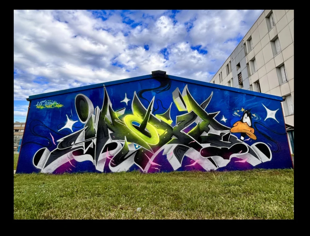 Interview with Ynoxe Graffiti — Contemporary Art Curator Magazine