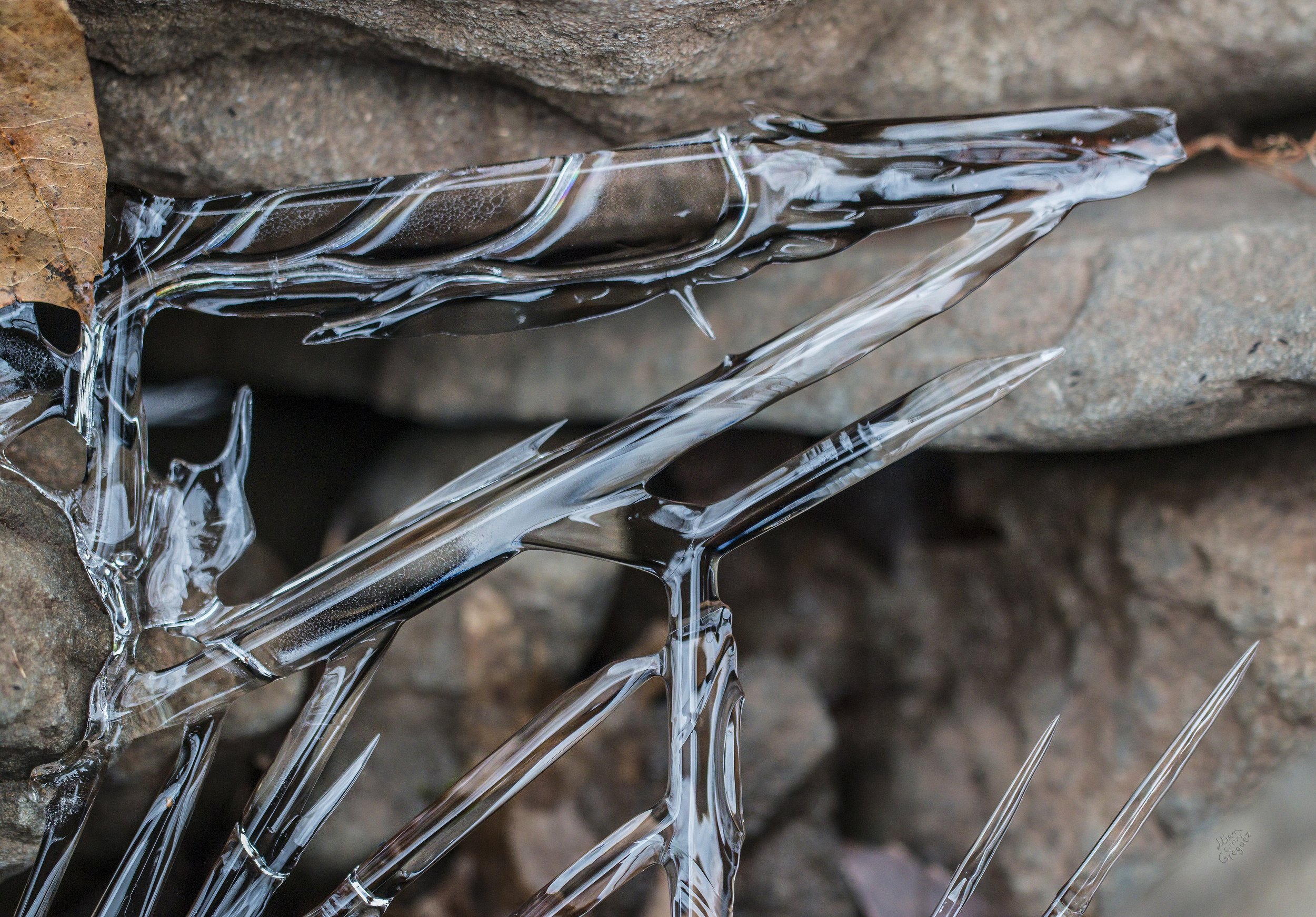 Lliam Greguez — Contemporary Art Curator Magazine