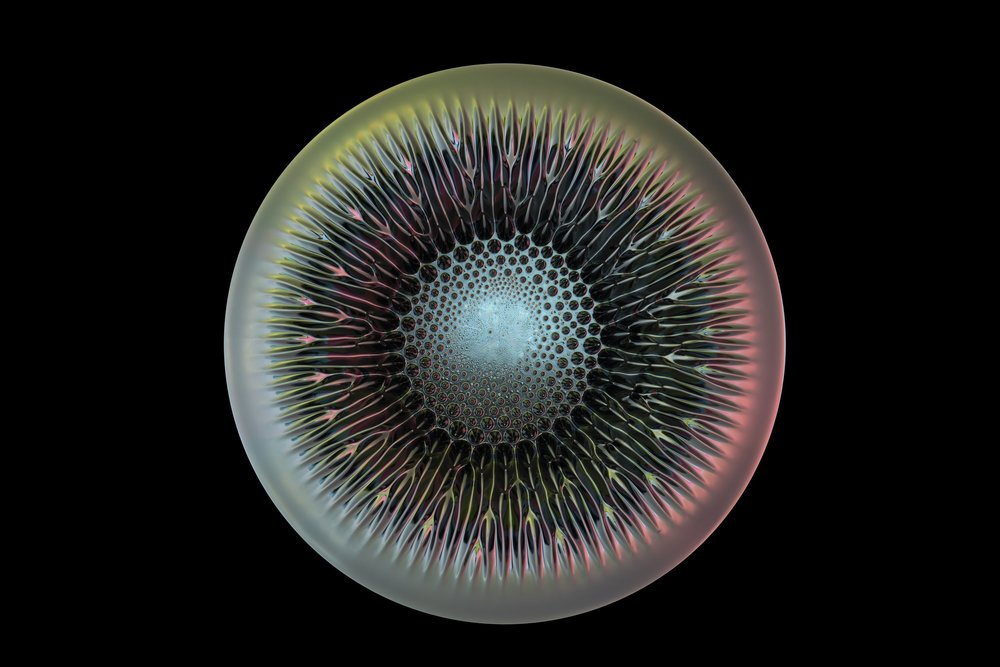 Interview with Gianfranco Merati — Contemporary Art Curator Magazine