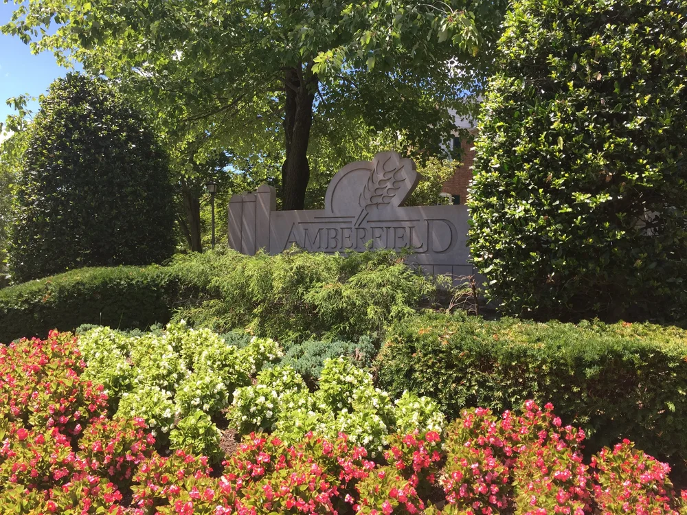 Amberfield