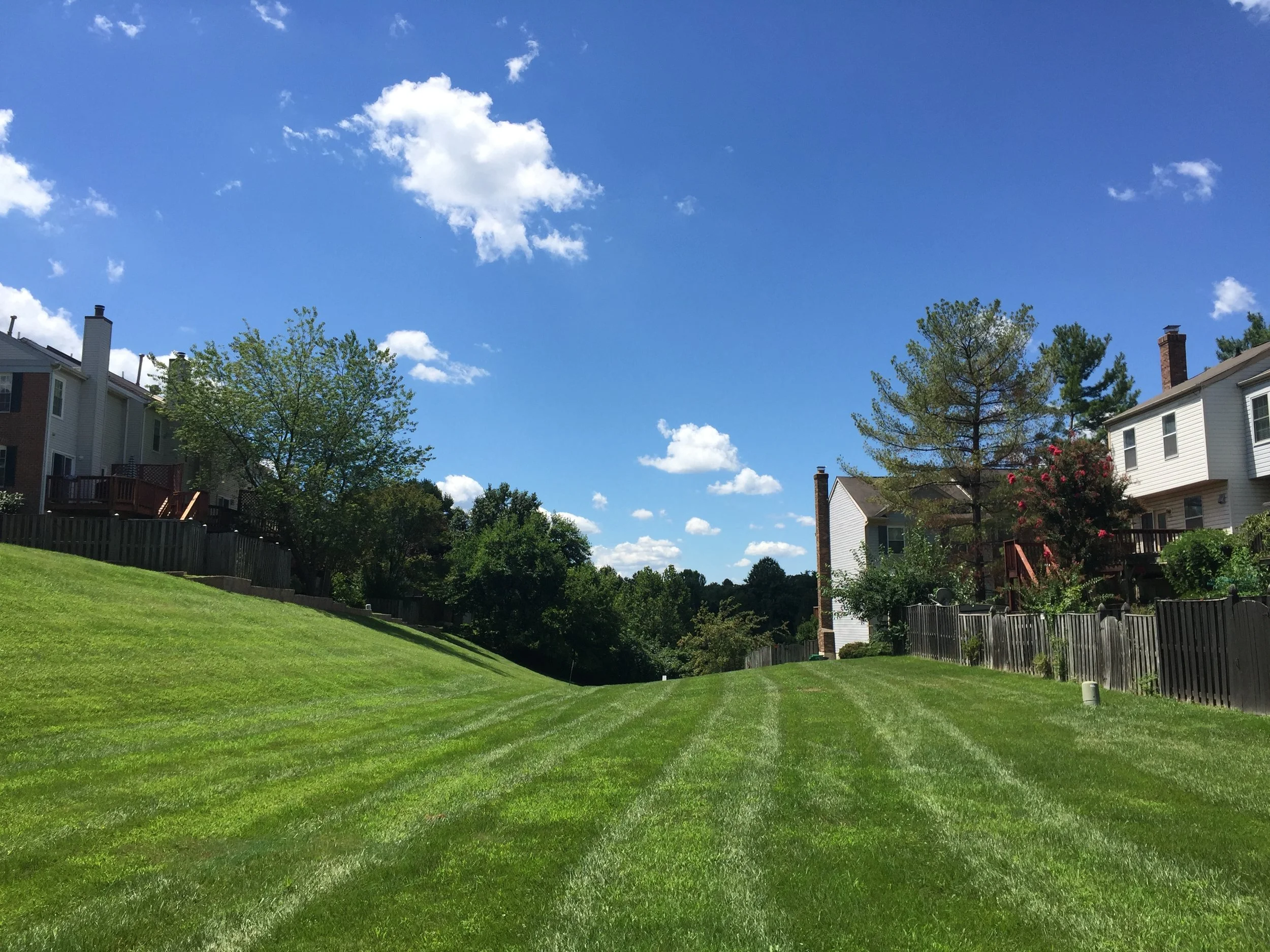 About — Amberfield