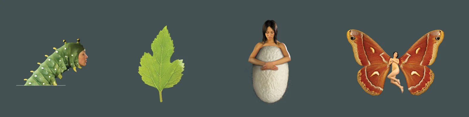 Natural Silk Clothing | Silkbody International