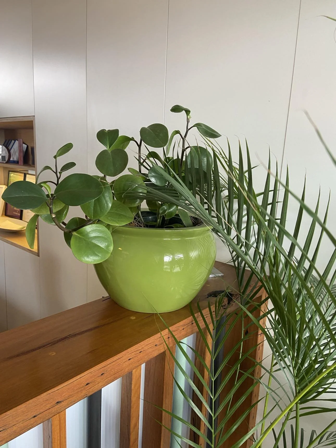 Light House Fitout & Furniture for Sale — Light House Architecture ...