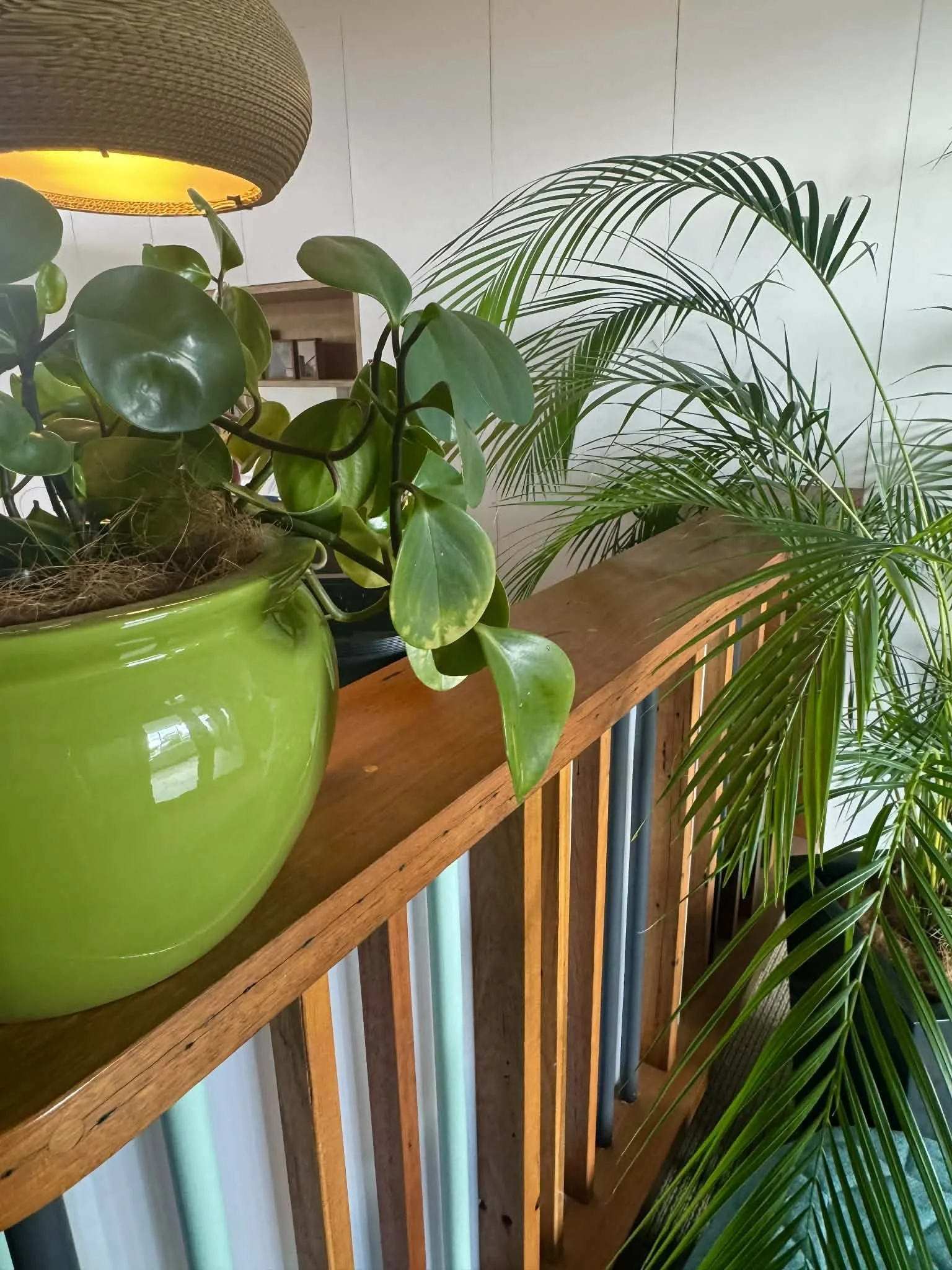 Light House Fitout and Furniture for Sale — Light House Architecture ...