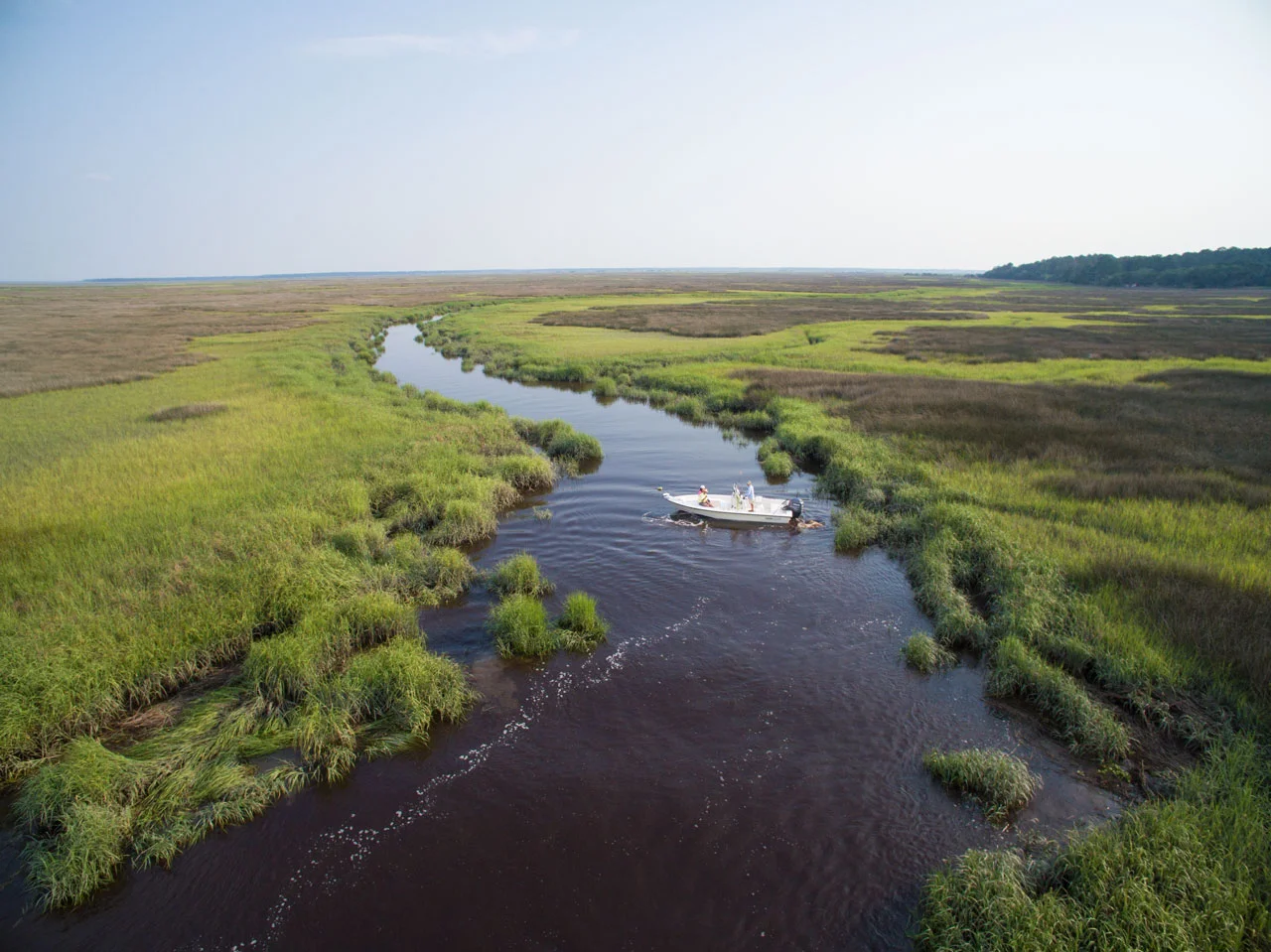 Activities & Entertainment — Grove Point