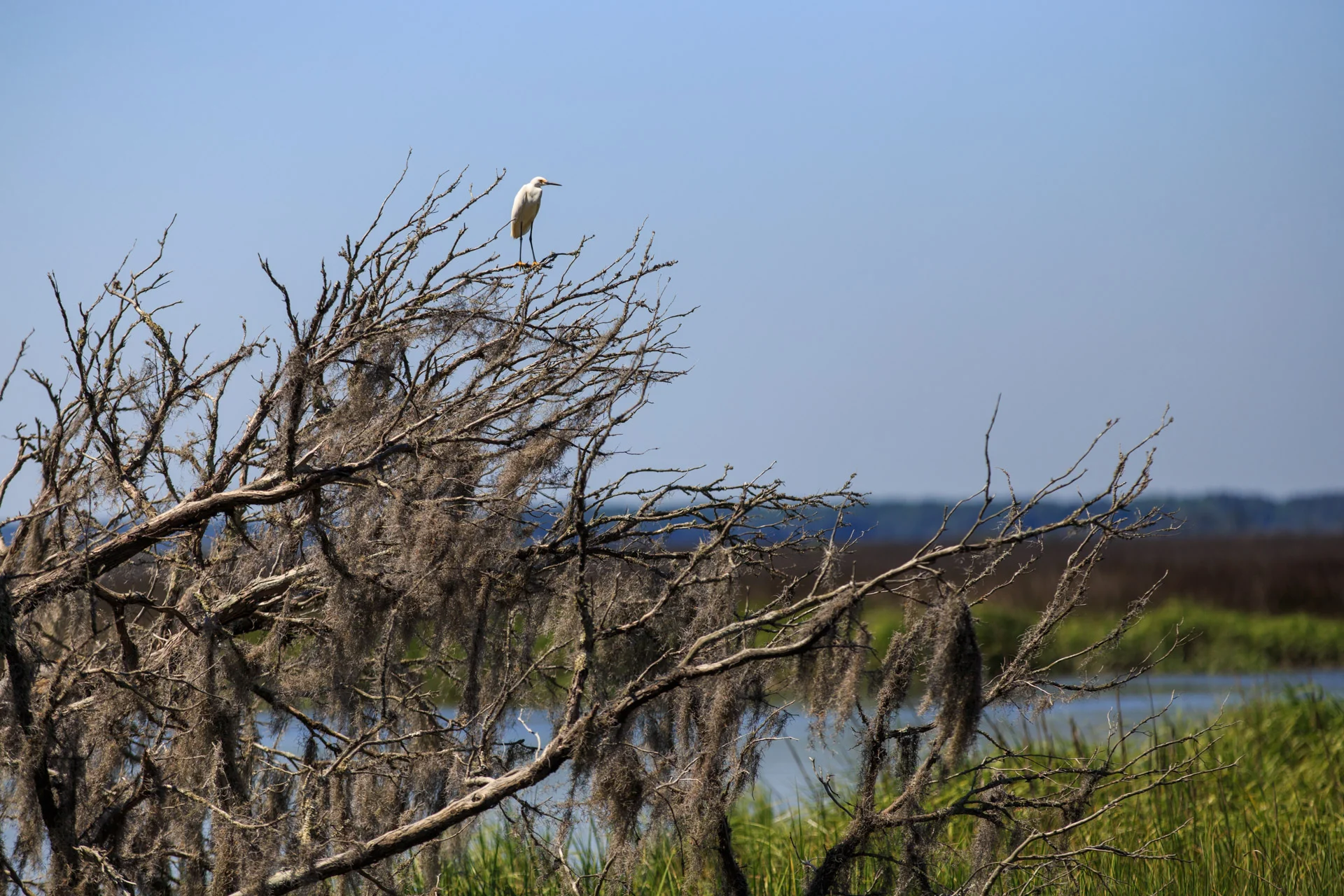 Activities & Entertainment — Grove Point