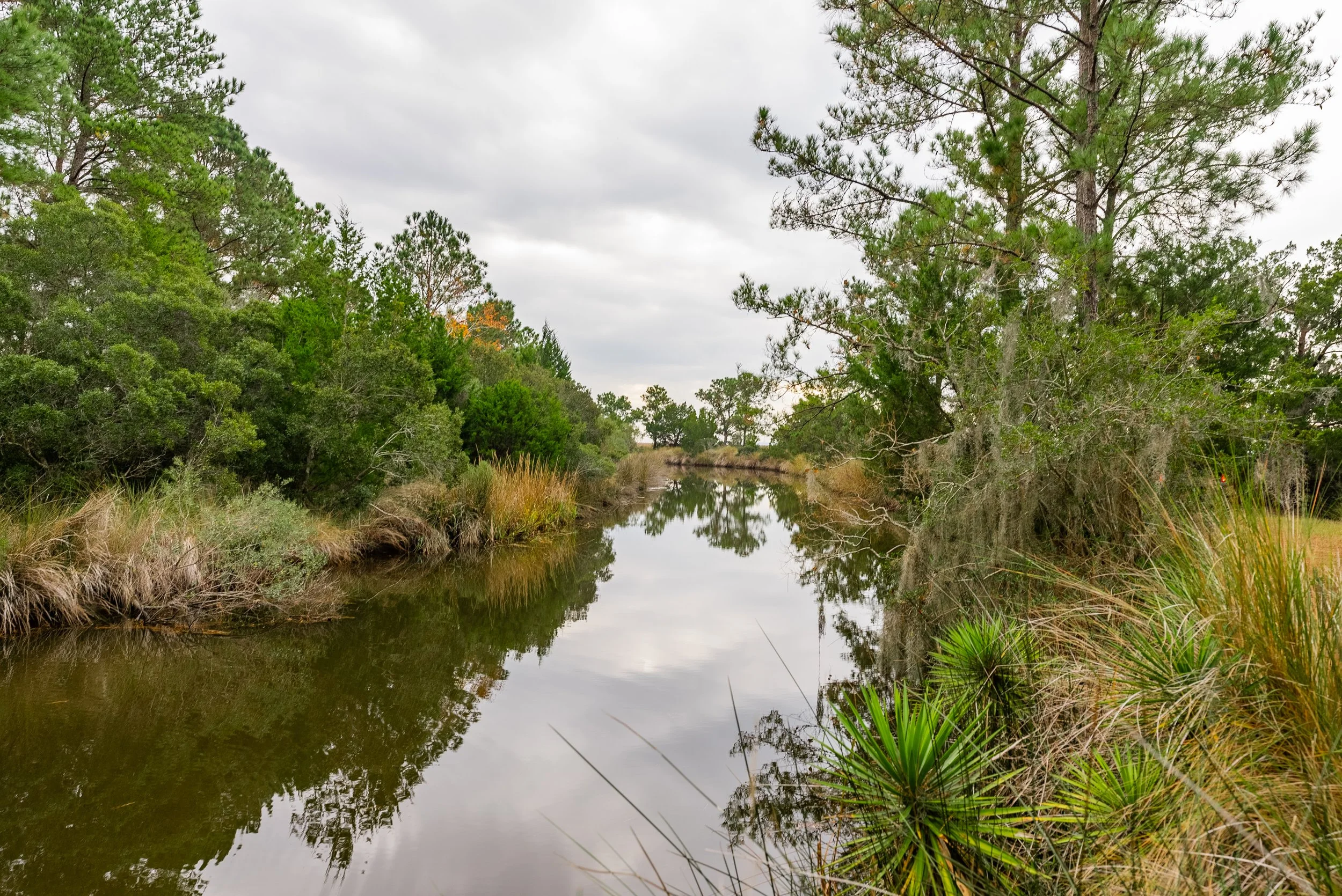 The Grounds - Ponds - Photos — Grove Point