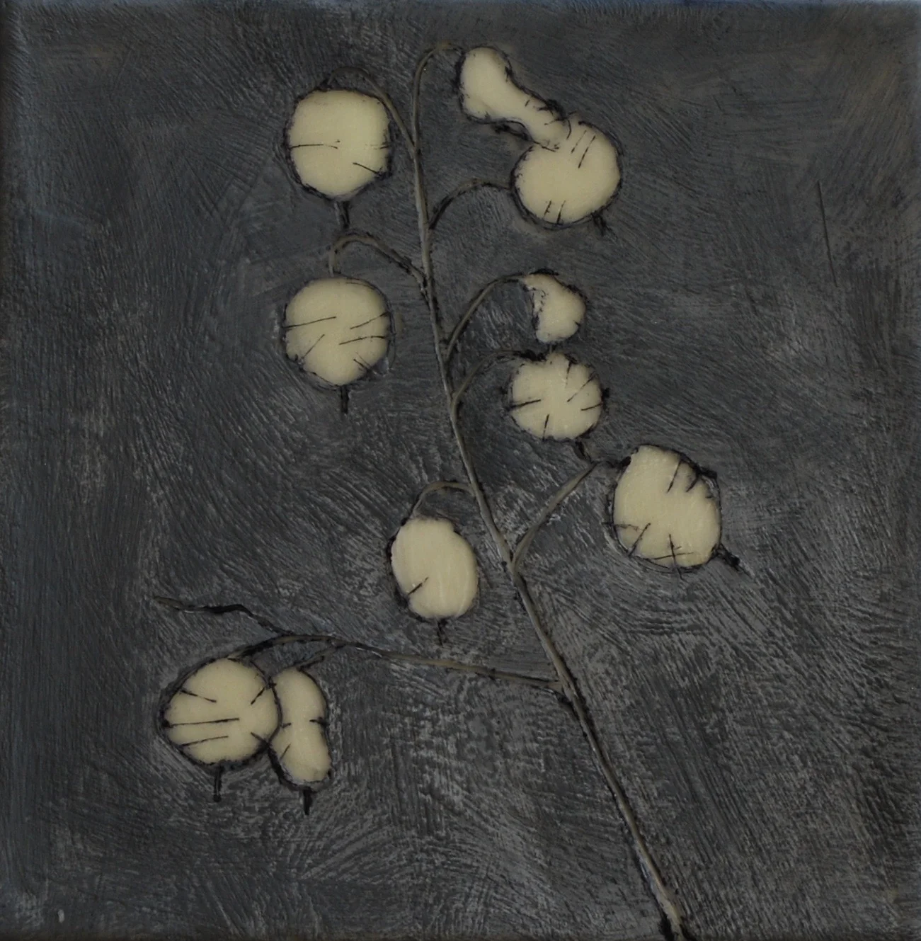 Gallery — amy vander els