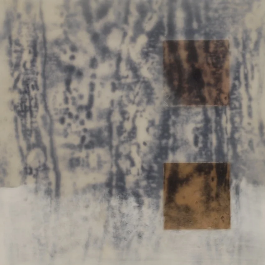 Gallery — amy vander els