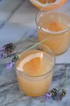 Frenchie Cocktail — Amanda Frederickson