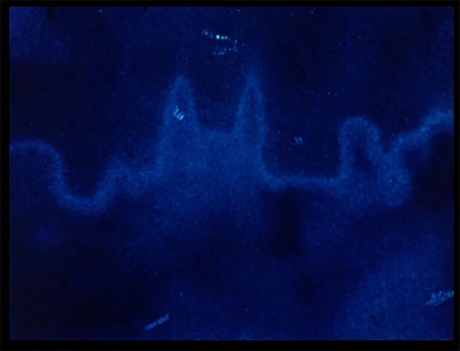 Film — Kathleen Rugh