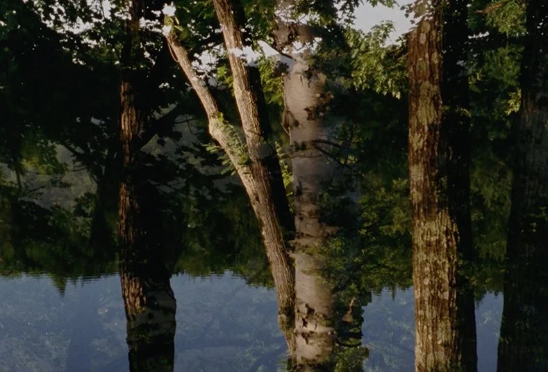 Light's Return — Kathleen Rugh