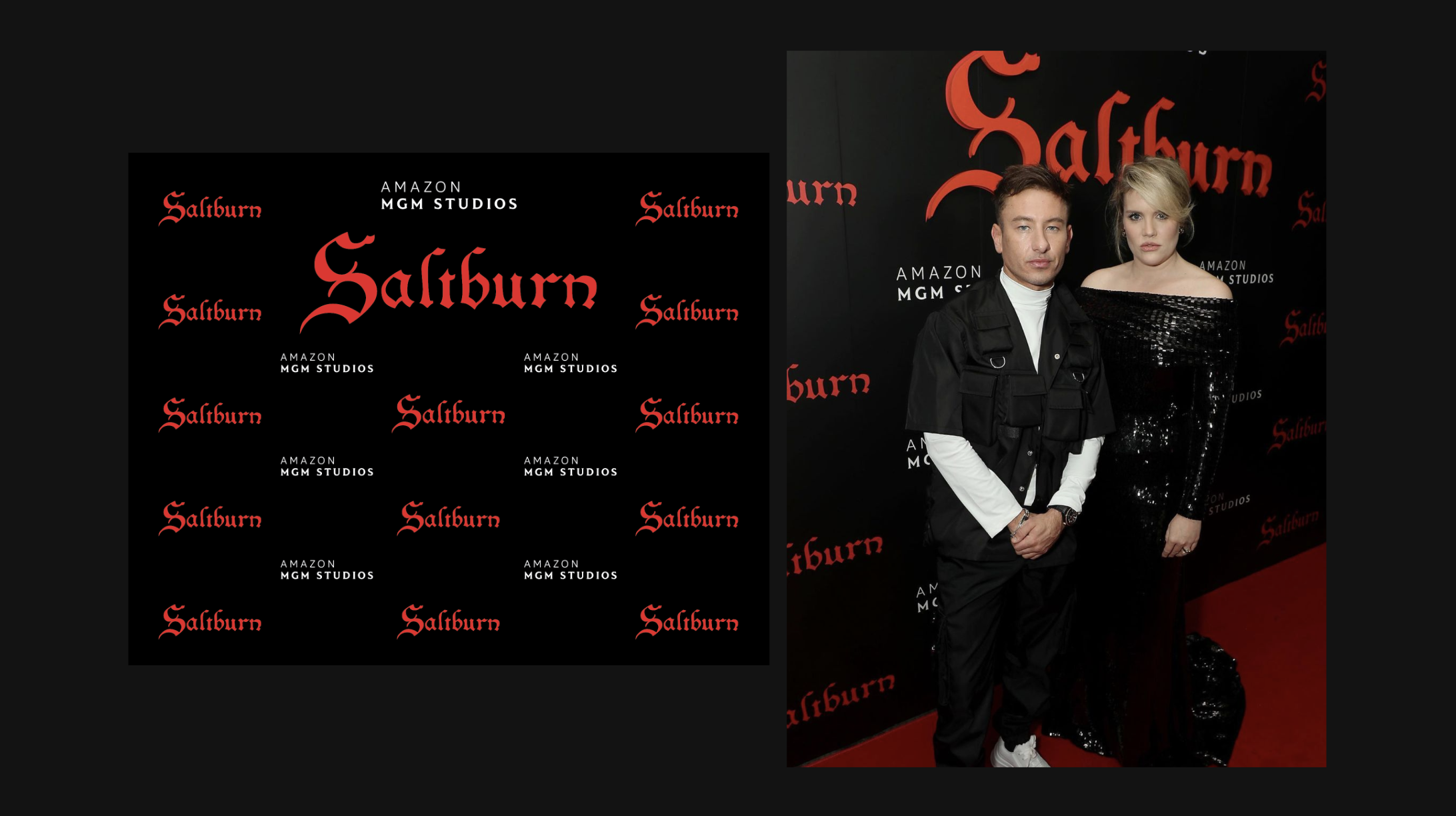 Saltburn Premiere Graphics — tara nielsen