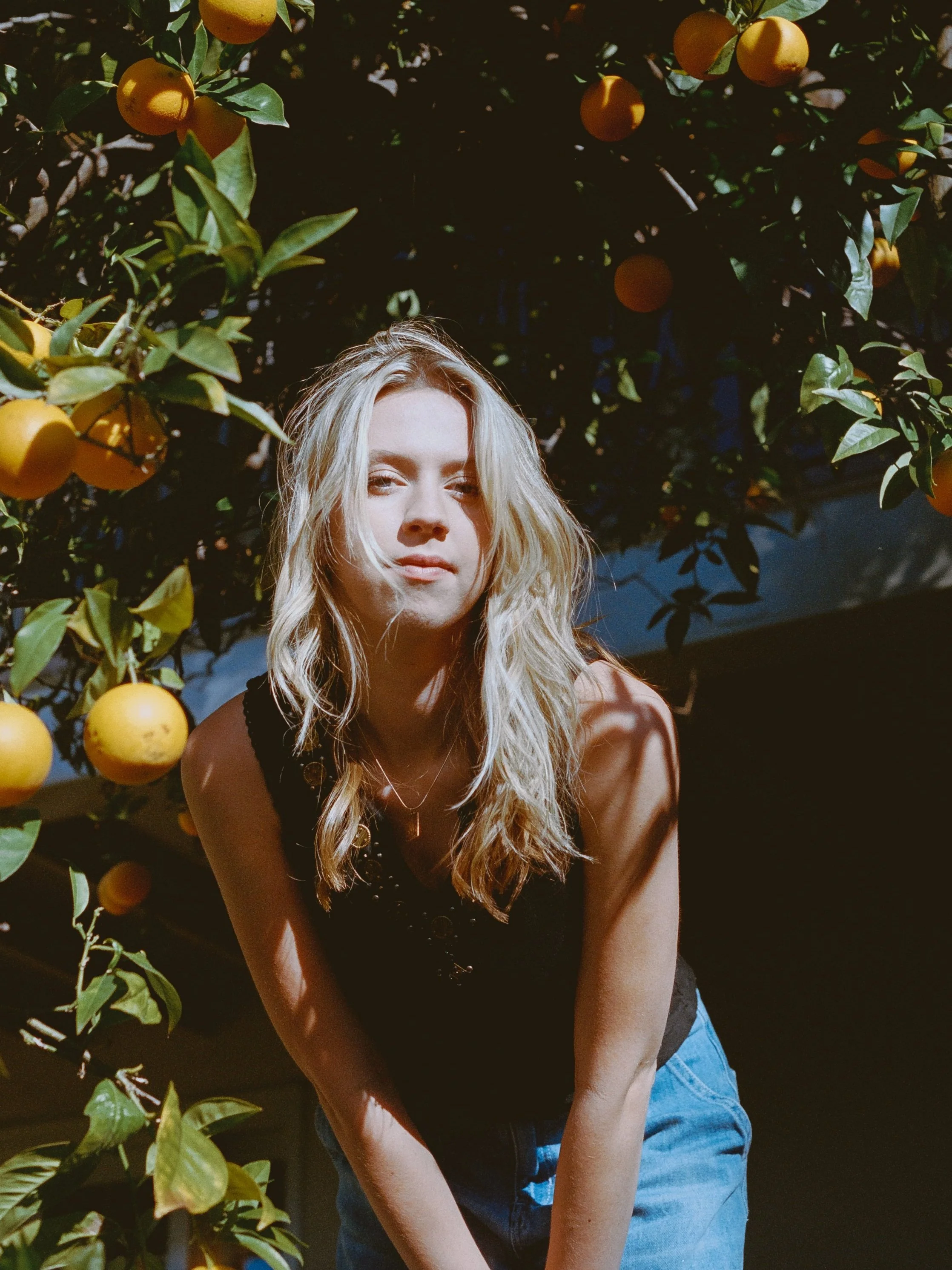 Press Kit — Taylor Bickett