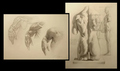 Mark Anthony Studio Traditional Classical Figure Drawing Classes ...