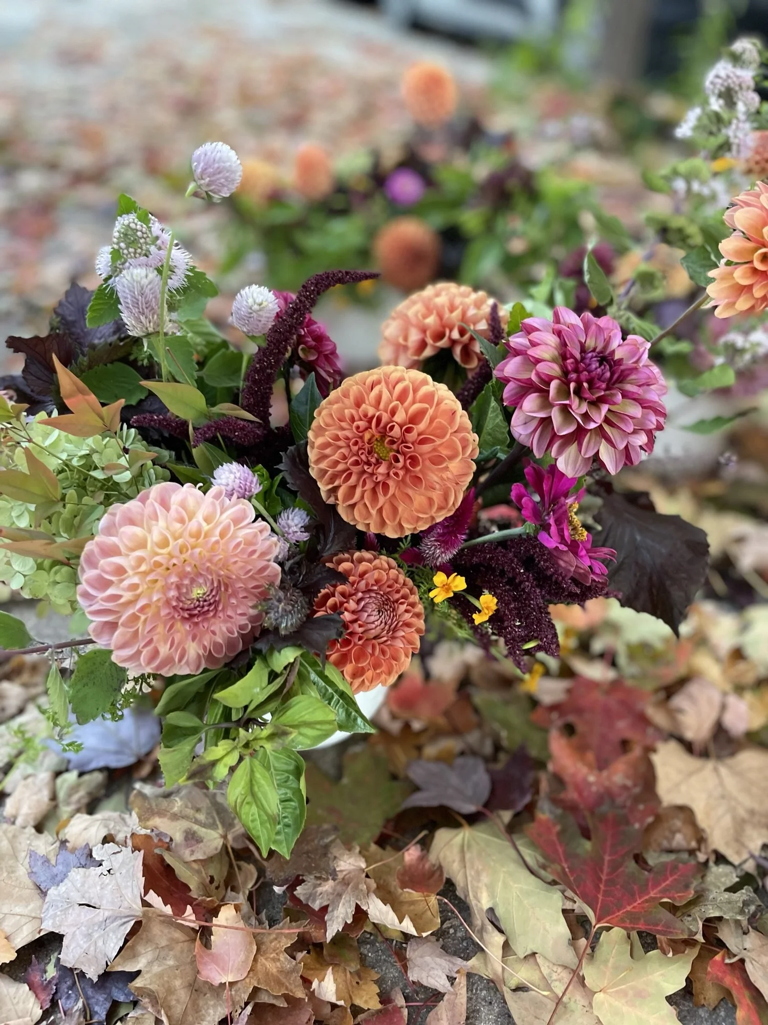 Autumn 2022 Gathering — Flower Clvb