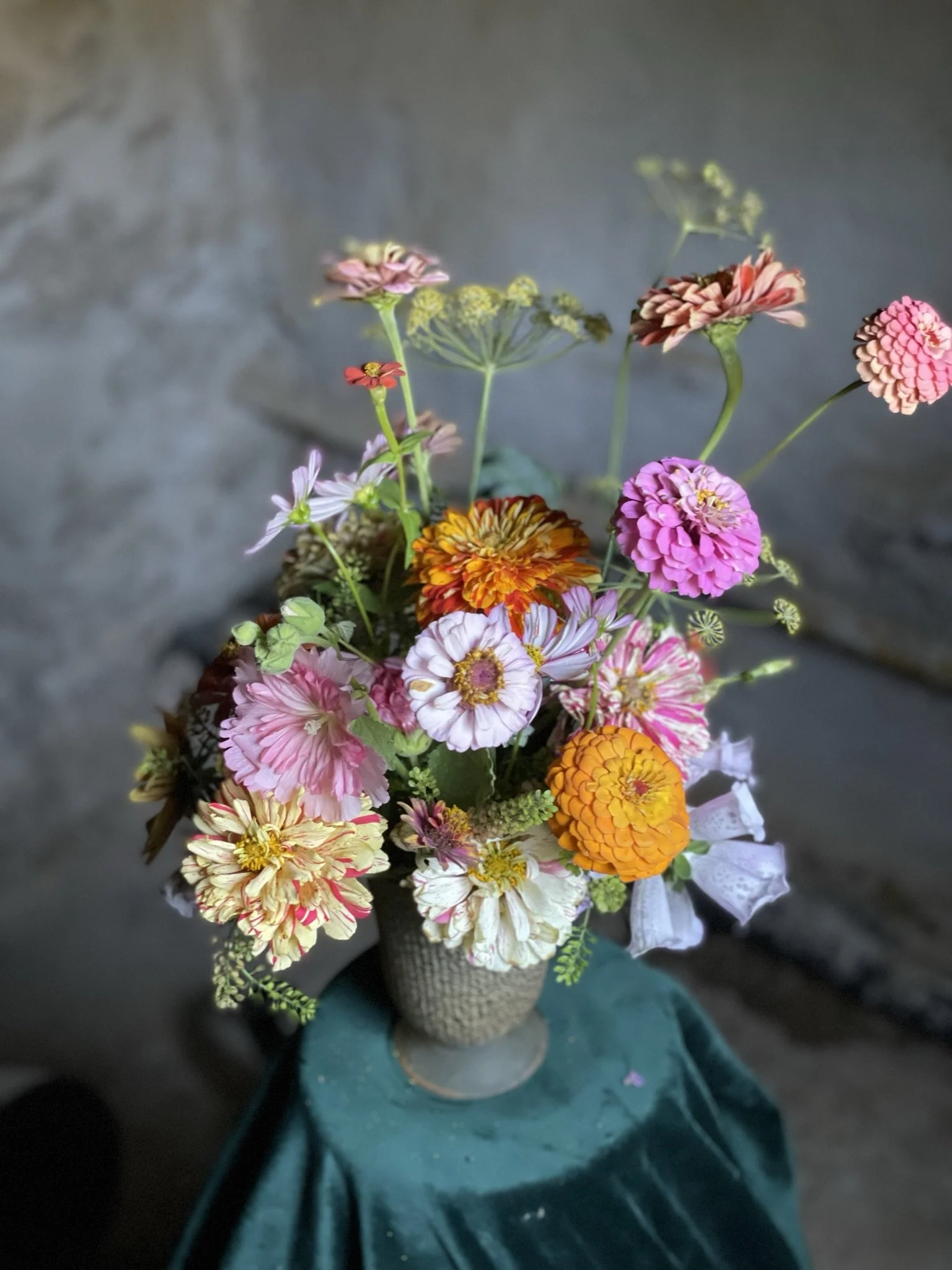 Your Spring Garden Guide for a Colorful Fall — Flower Clvb