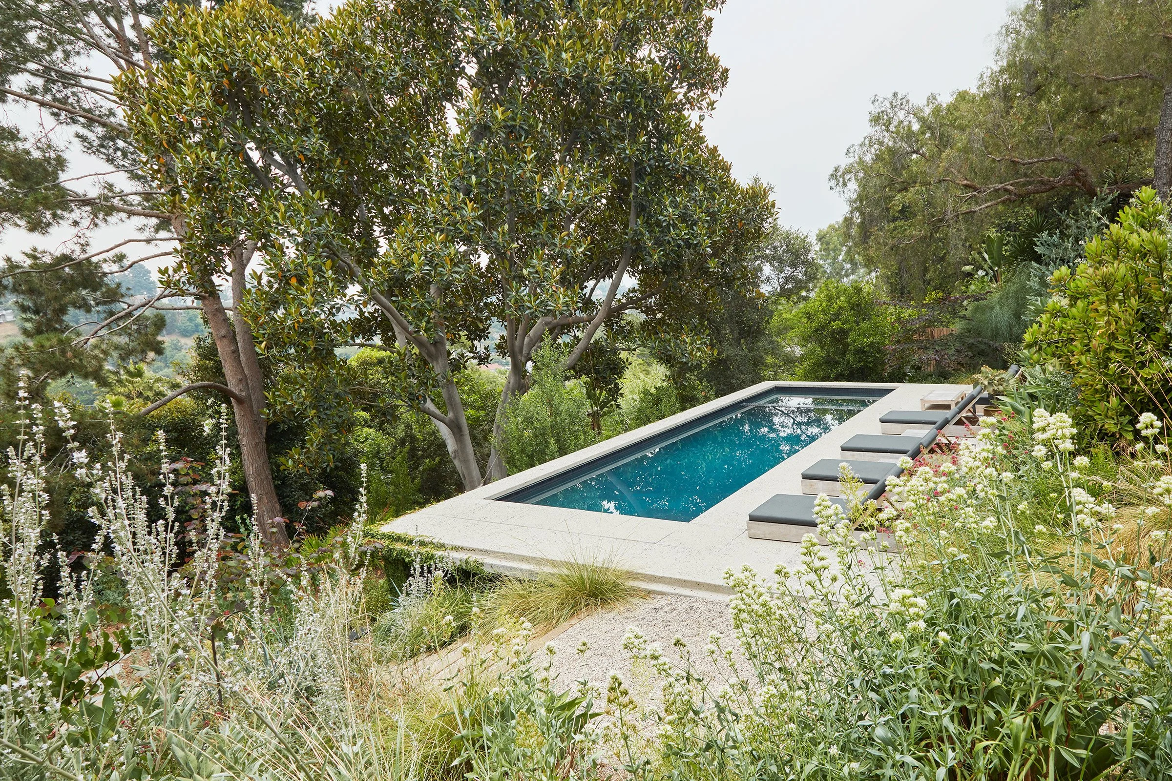 Johnston Vidal Projects