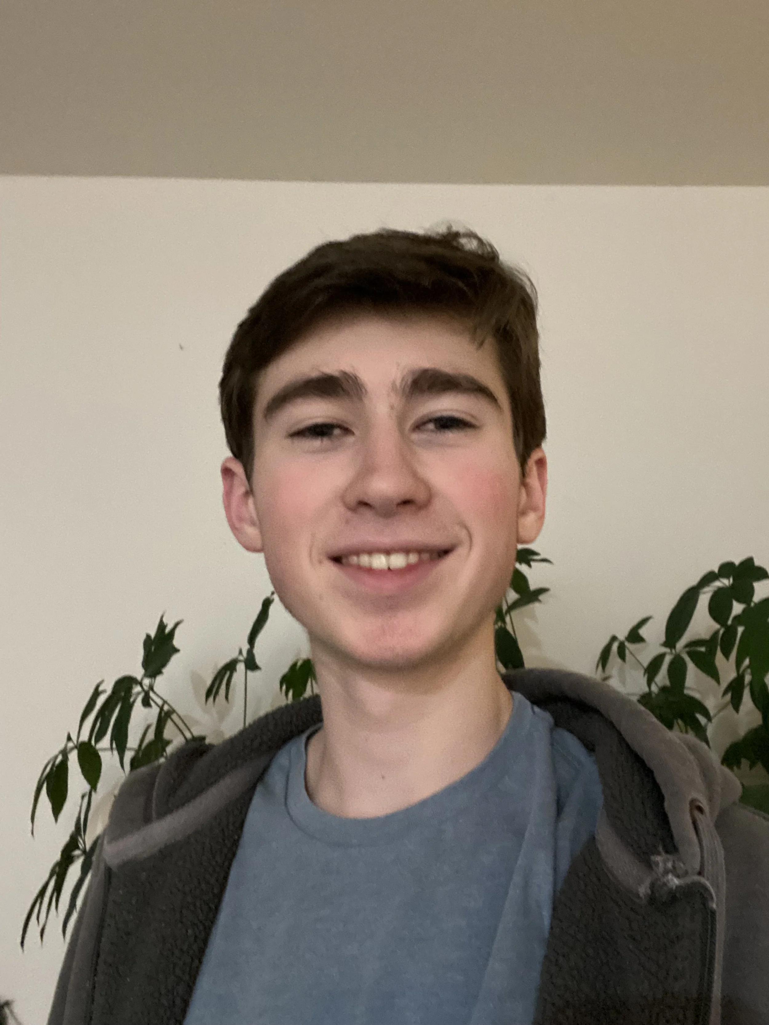 TIPS Blog - News and Program Updates — TEENS IN PUBLIC SERVICE