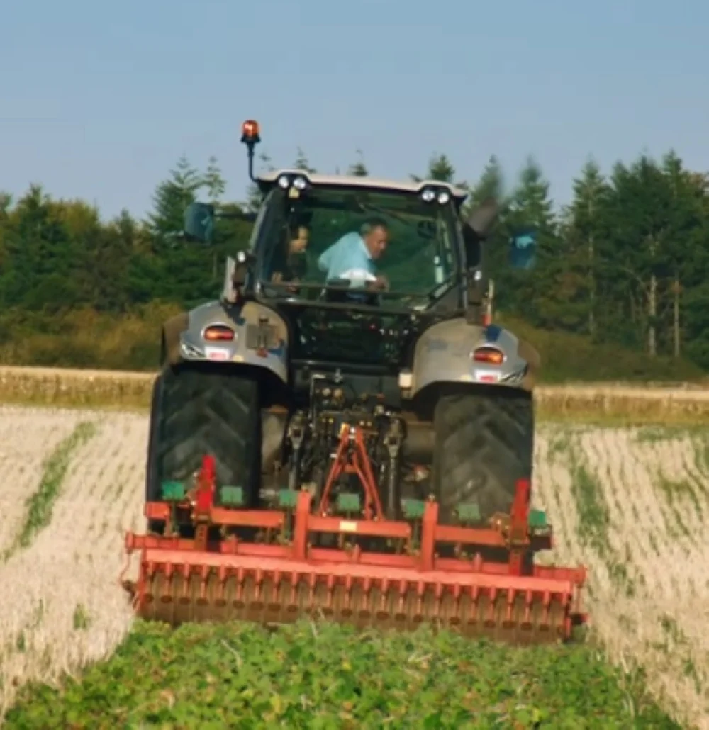 Diddly Squat Farm - Strathorn Farm Stables