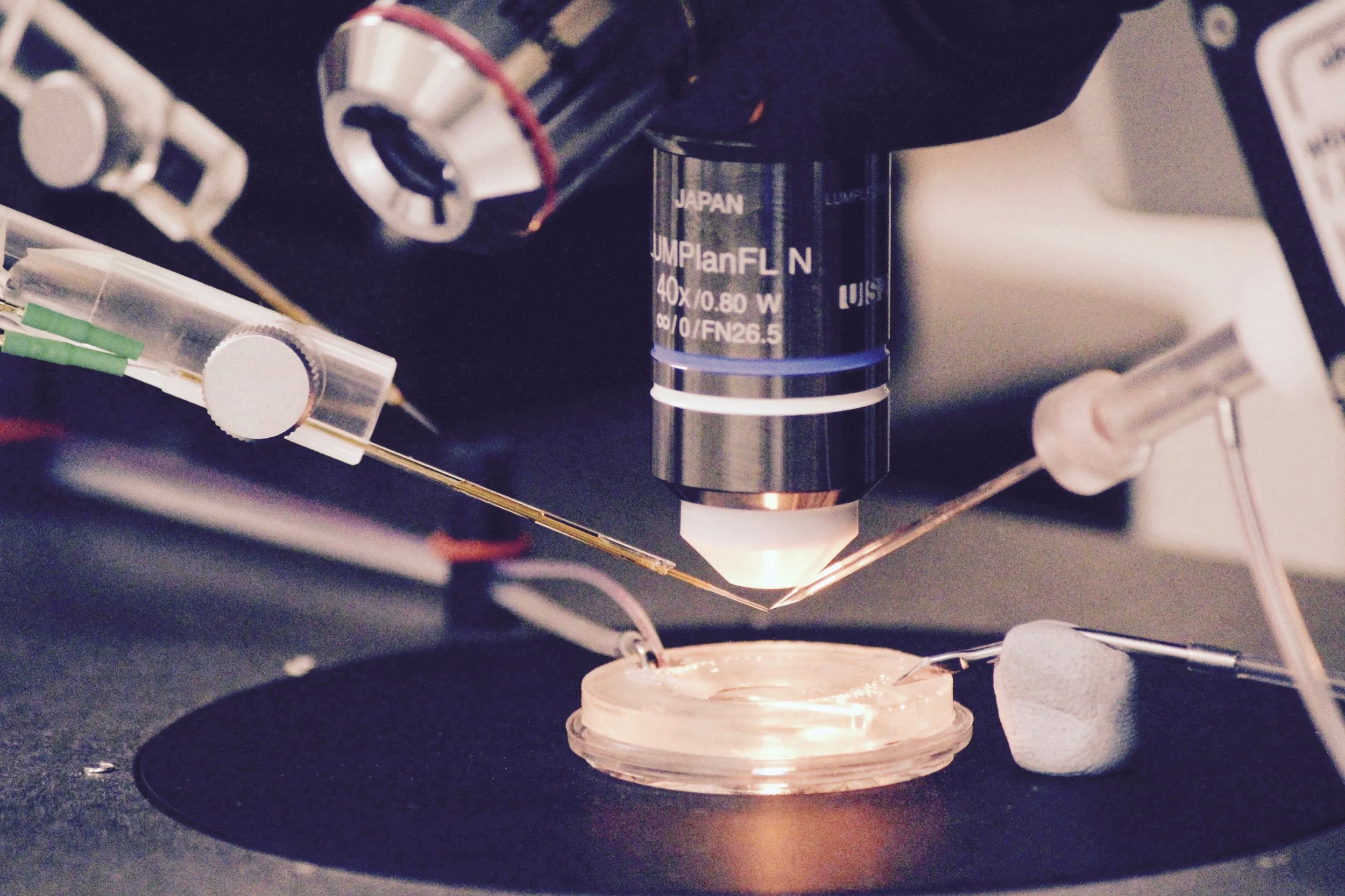 PlasticityLab | Methods