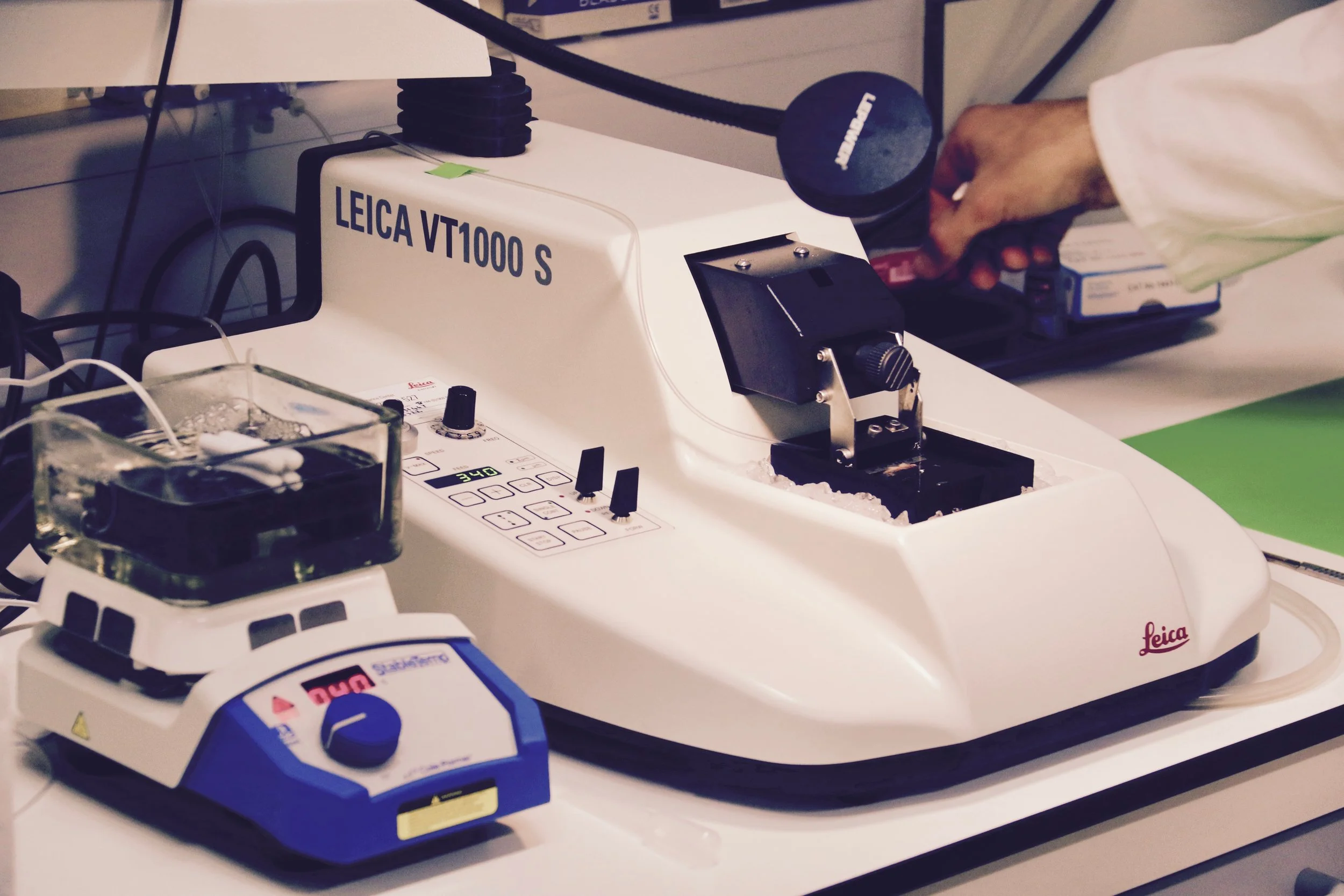 PlasticityLab | Methods