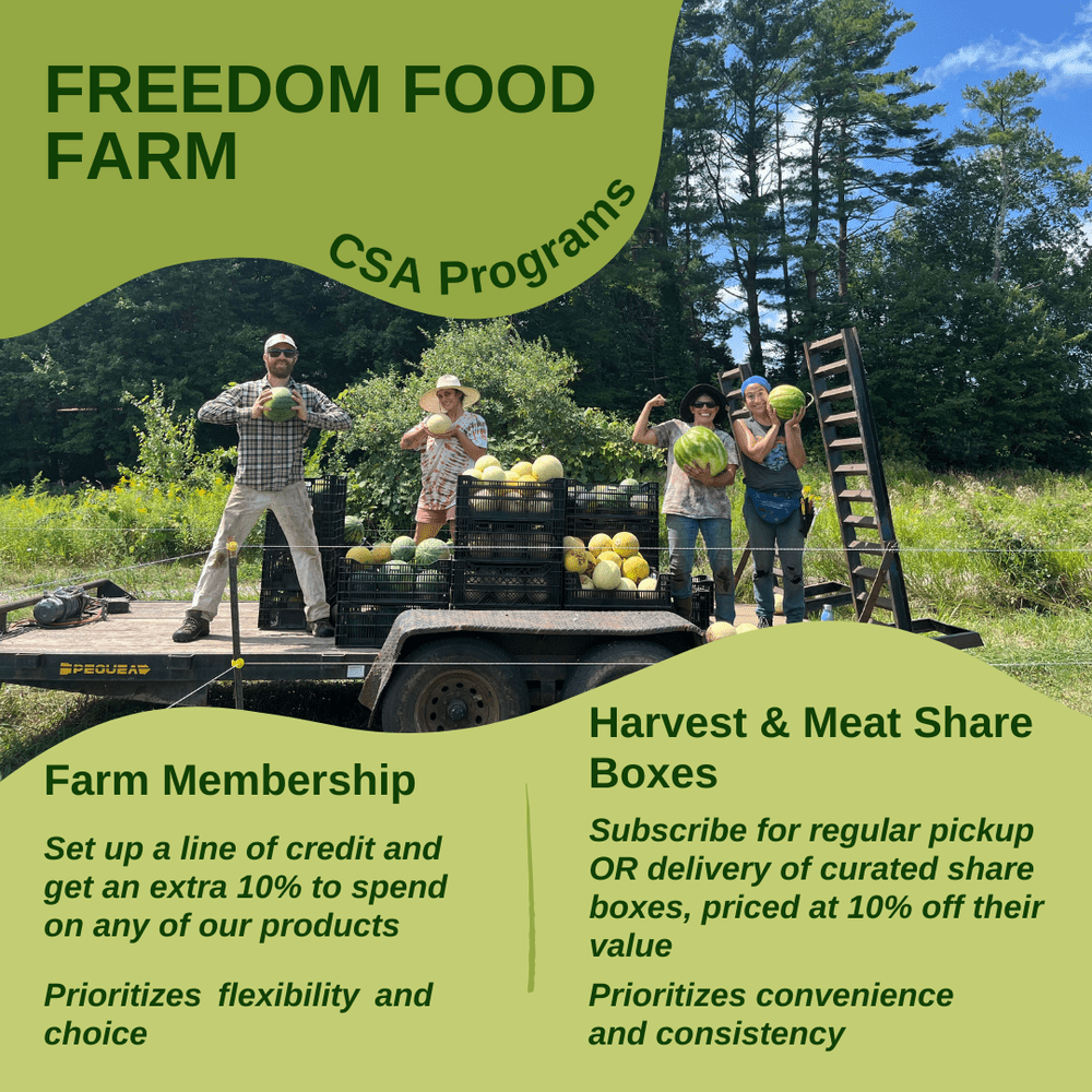 +CSA Progams — Freedom Food Farm