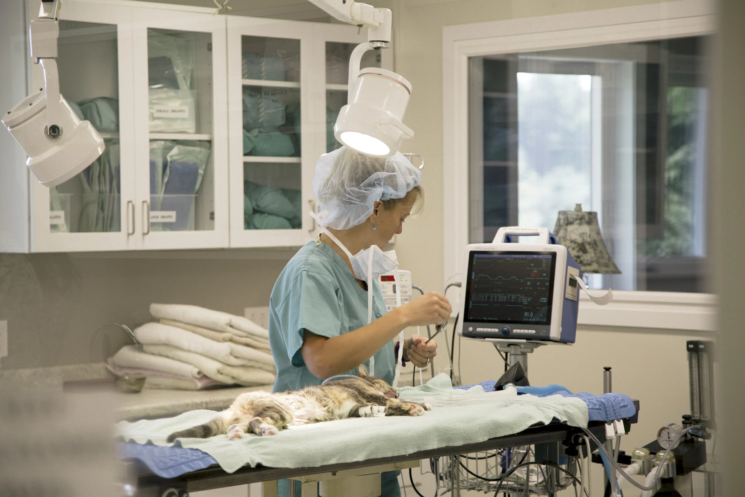 About BVC — Brewer Veterinary Clinic