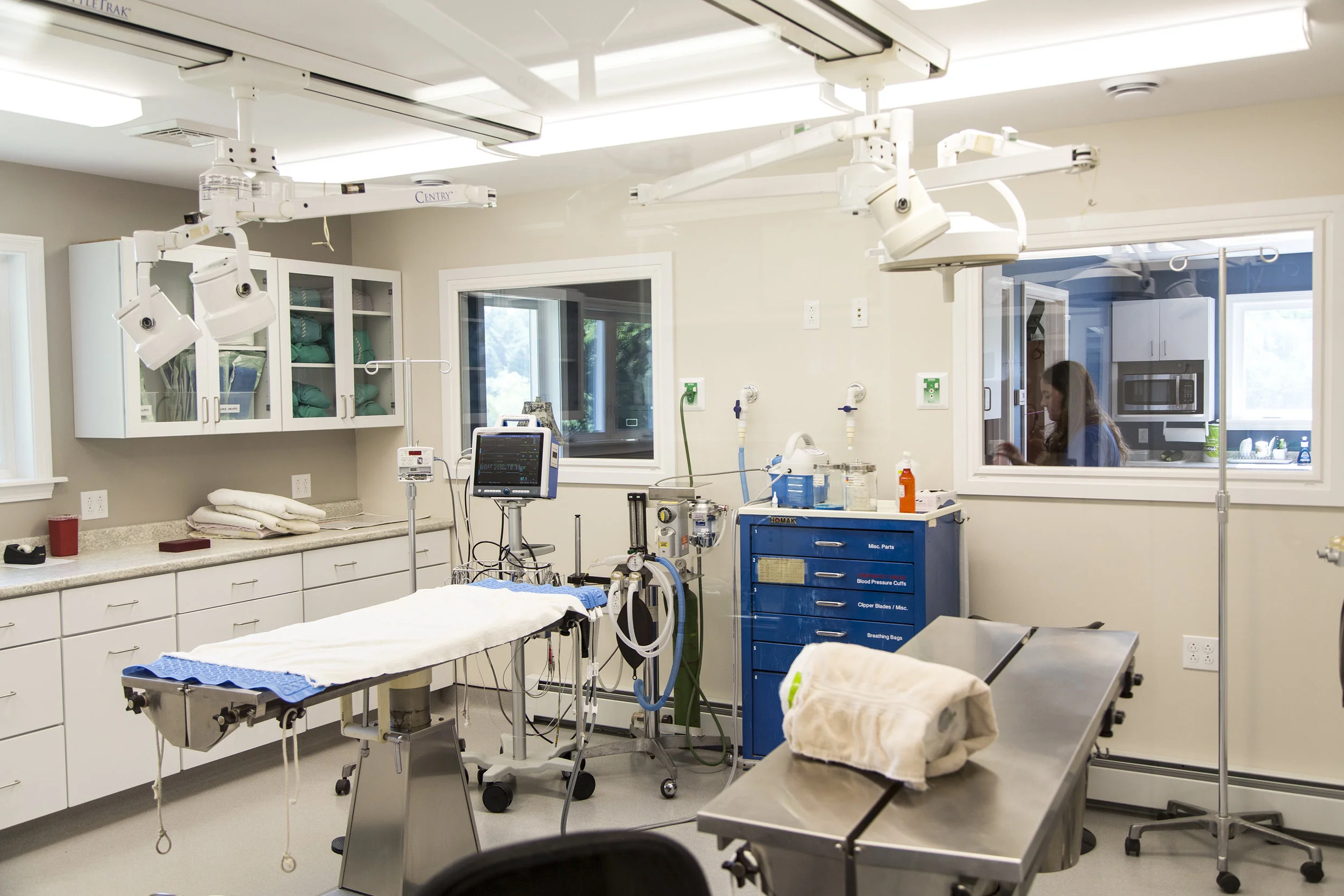 About BVC — Brewer Veterinary Clinic