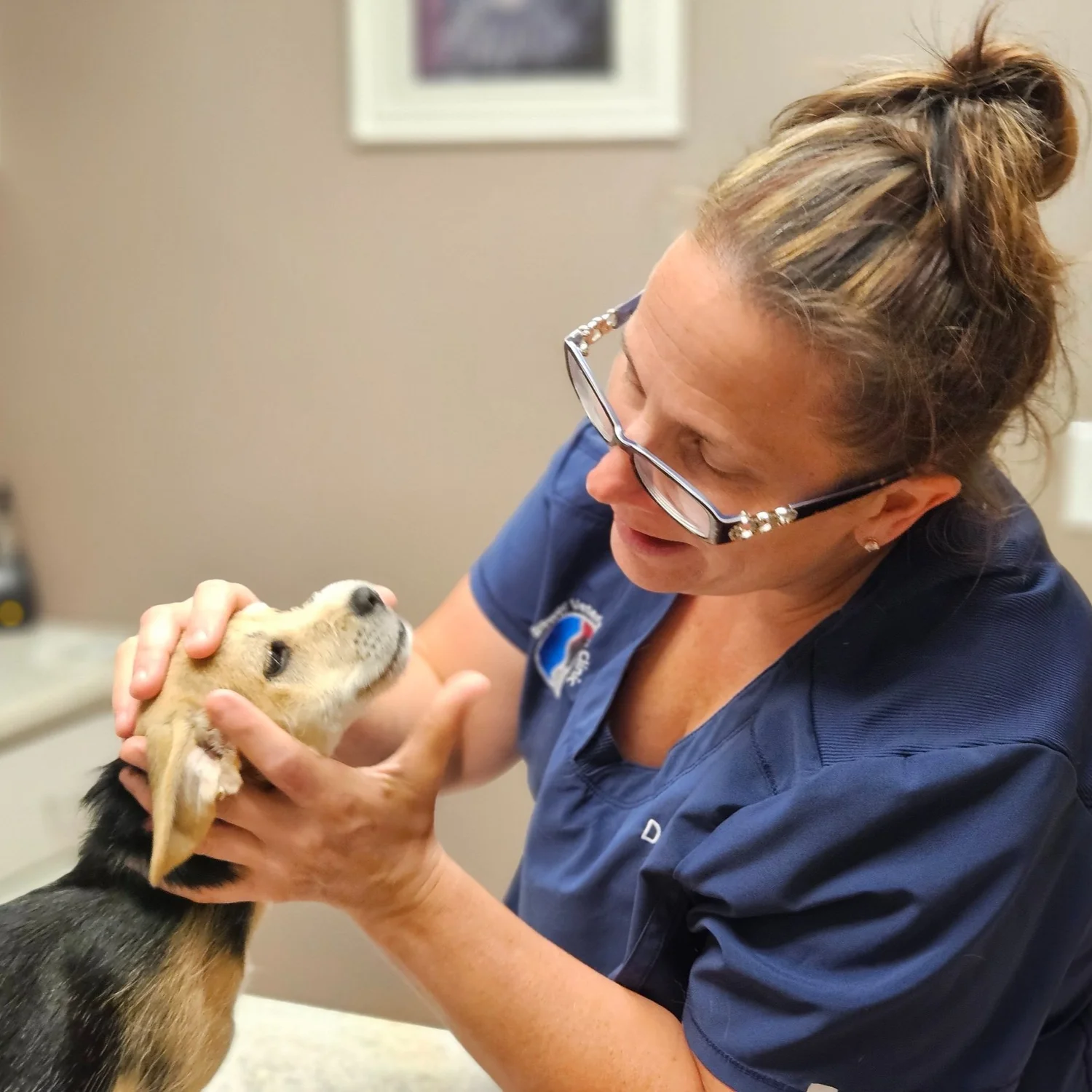 Brewer Veterinary Clinic