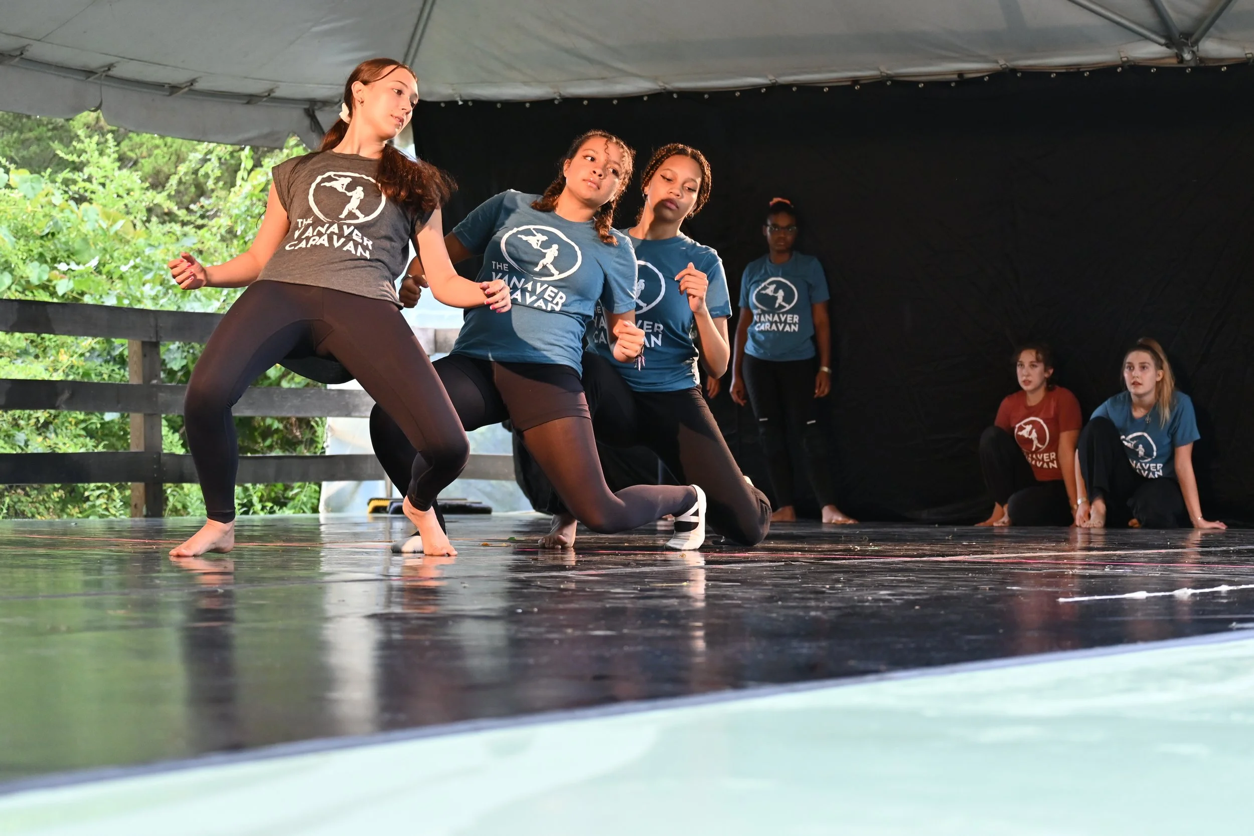 Looking Back, Dancing Forward — The Vanaver Caravan