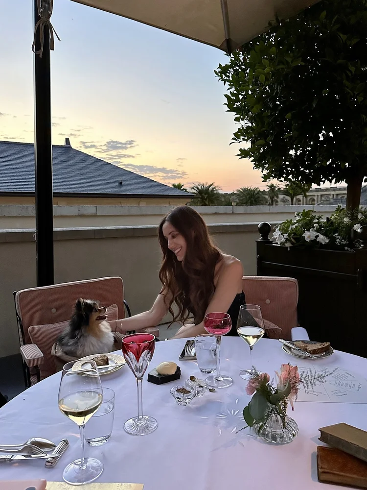 Experience Versailles like True French Royalty: Pamper Your Pup at the ...