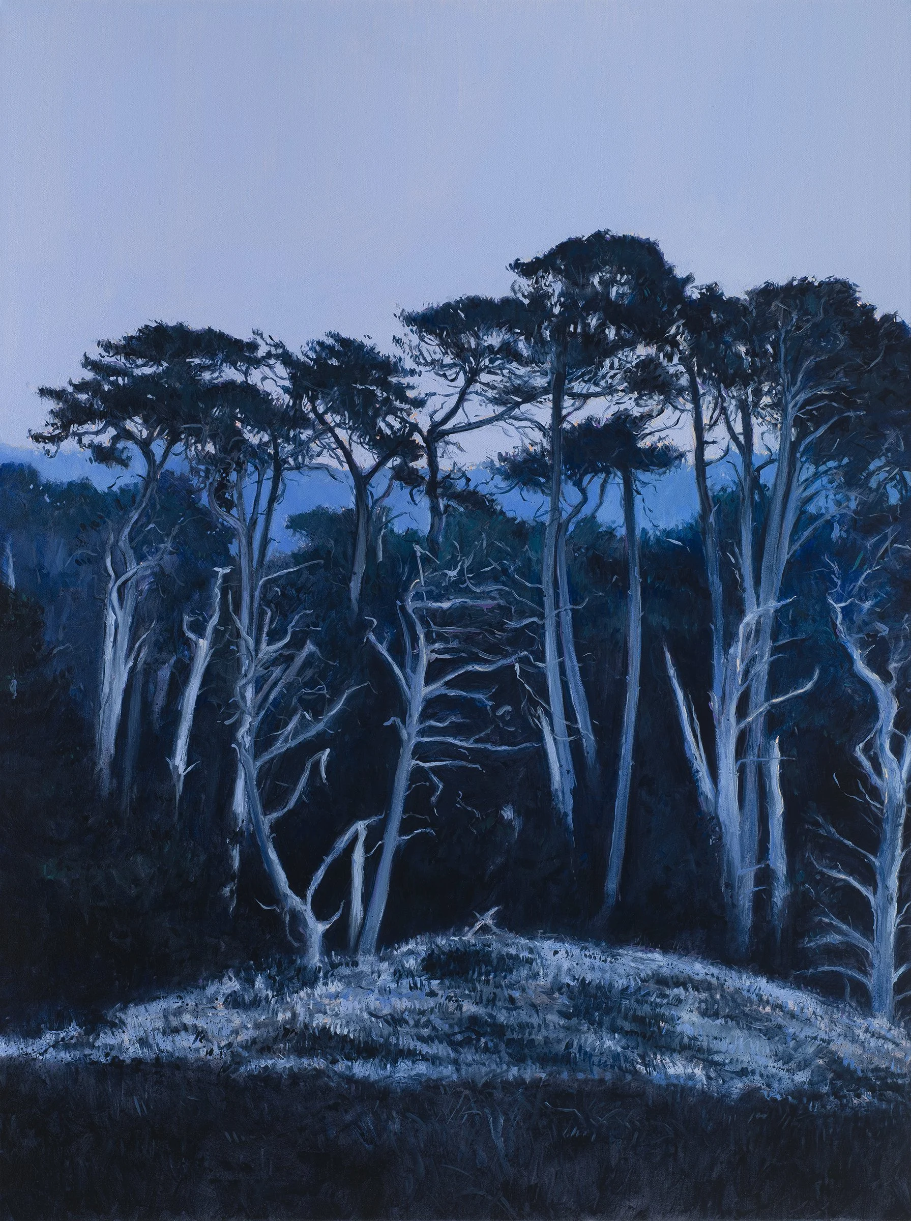 Paintings — Beau Bernier Frank