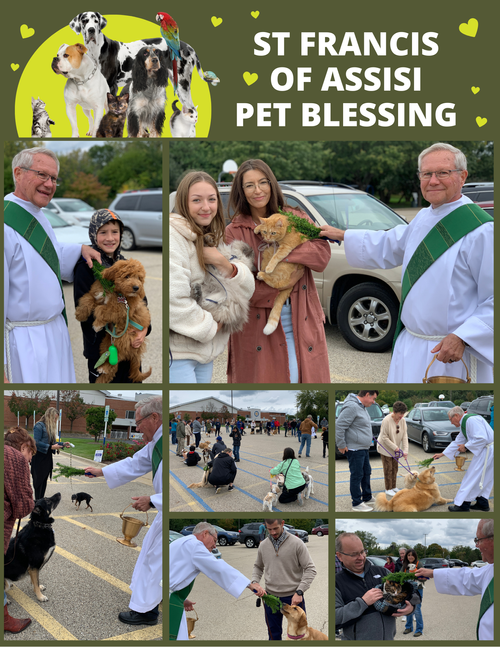 St Francis of Assisi Pet Blessings — St. Francis de Sales Catholic Parish