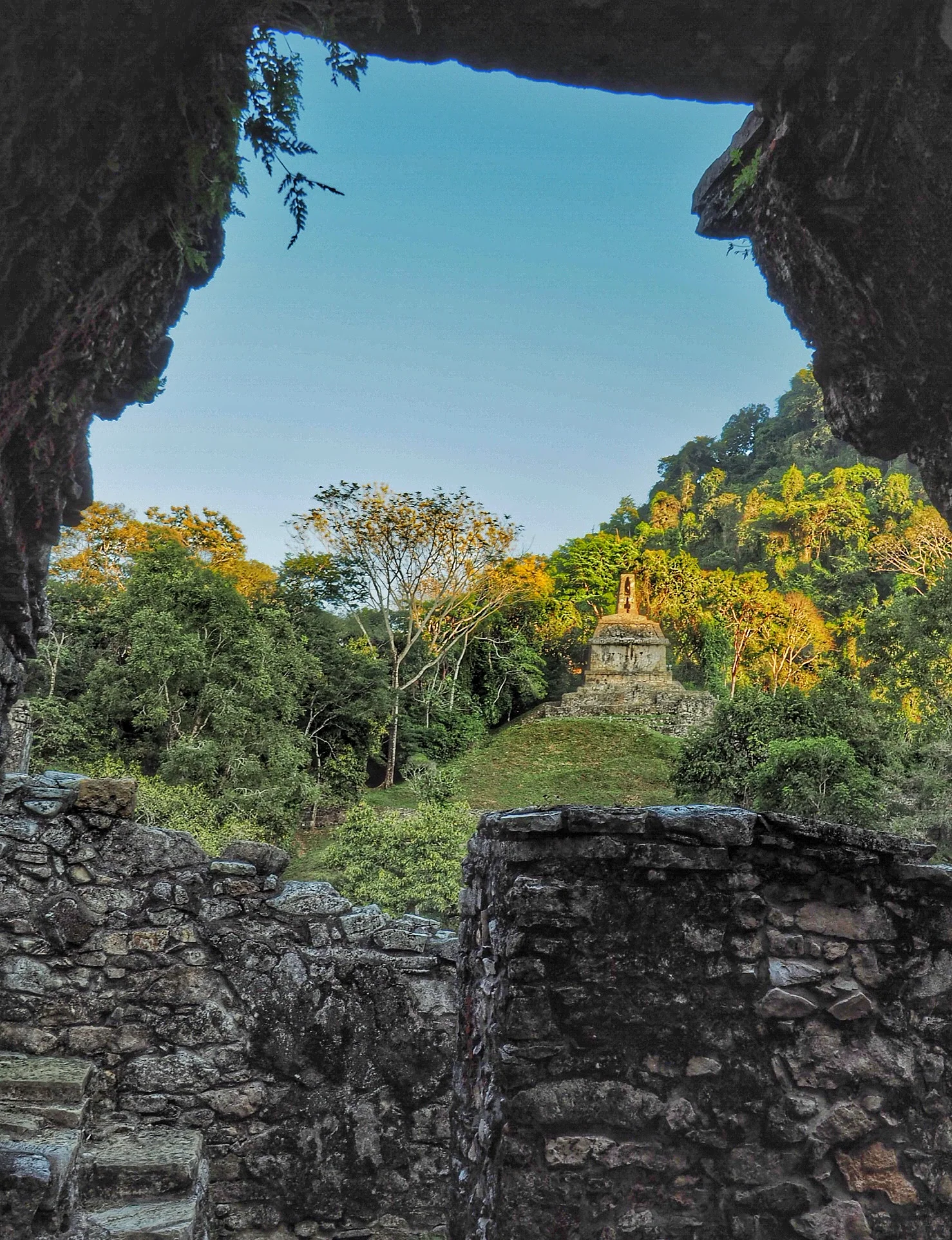 Alone in the Mexican jungle on a secret tour of Palenque — Bly On The Fly