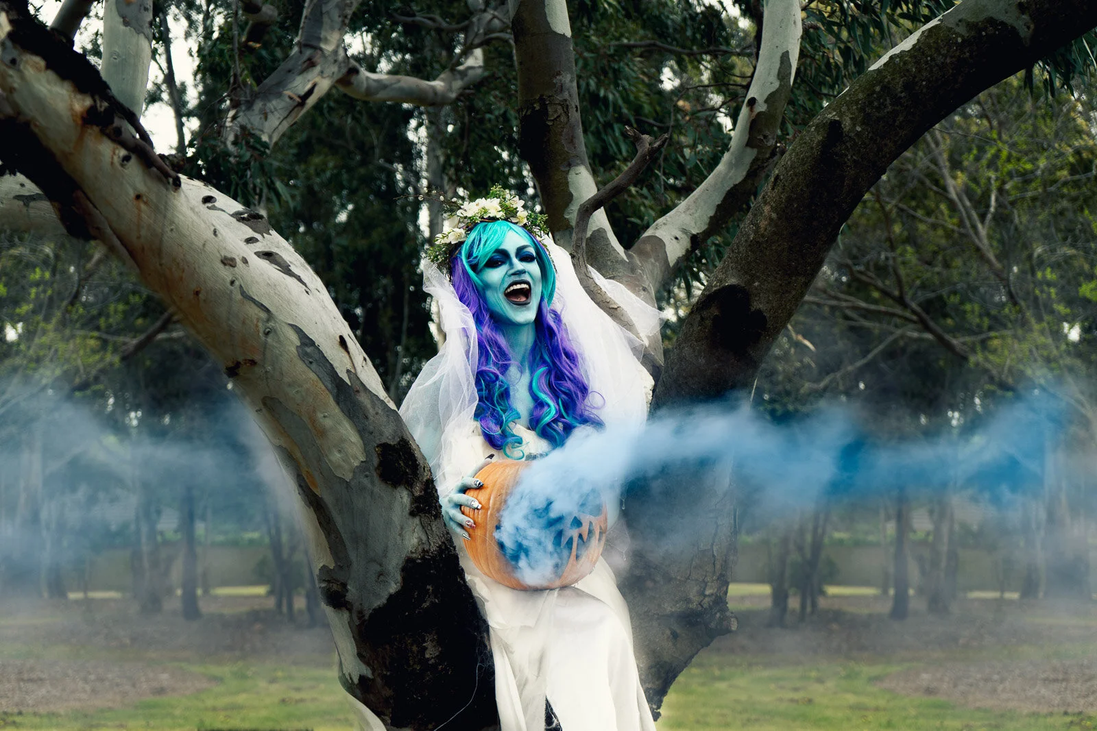 Still Life Photographer in Narre Warren. Specialising in Still Life ...