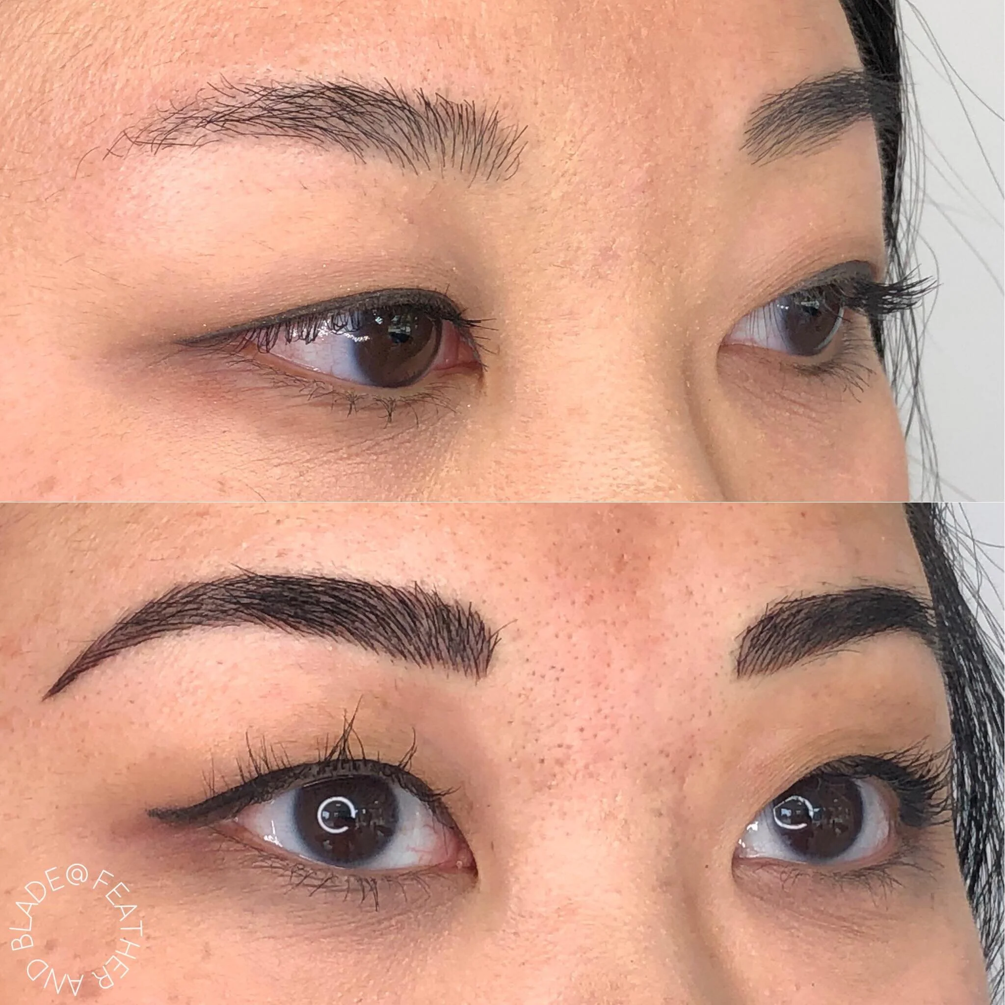 gallery — FEATHER & BLADE