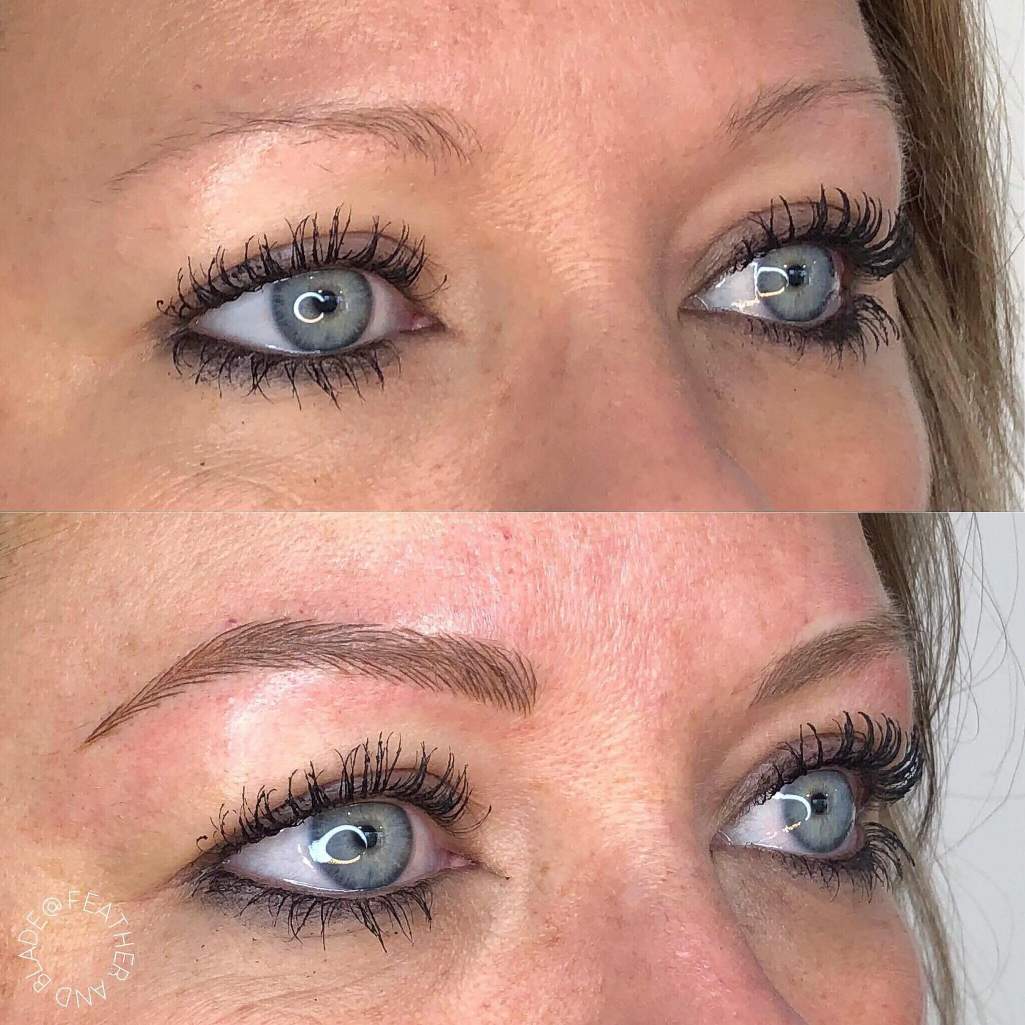 gallery — FEATHER & BLADE