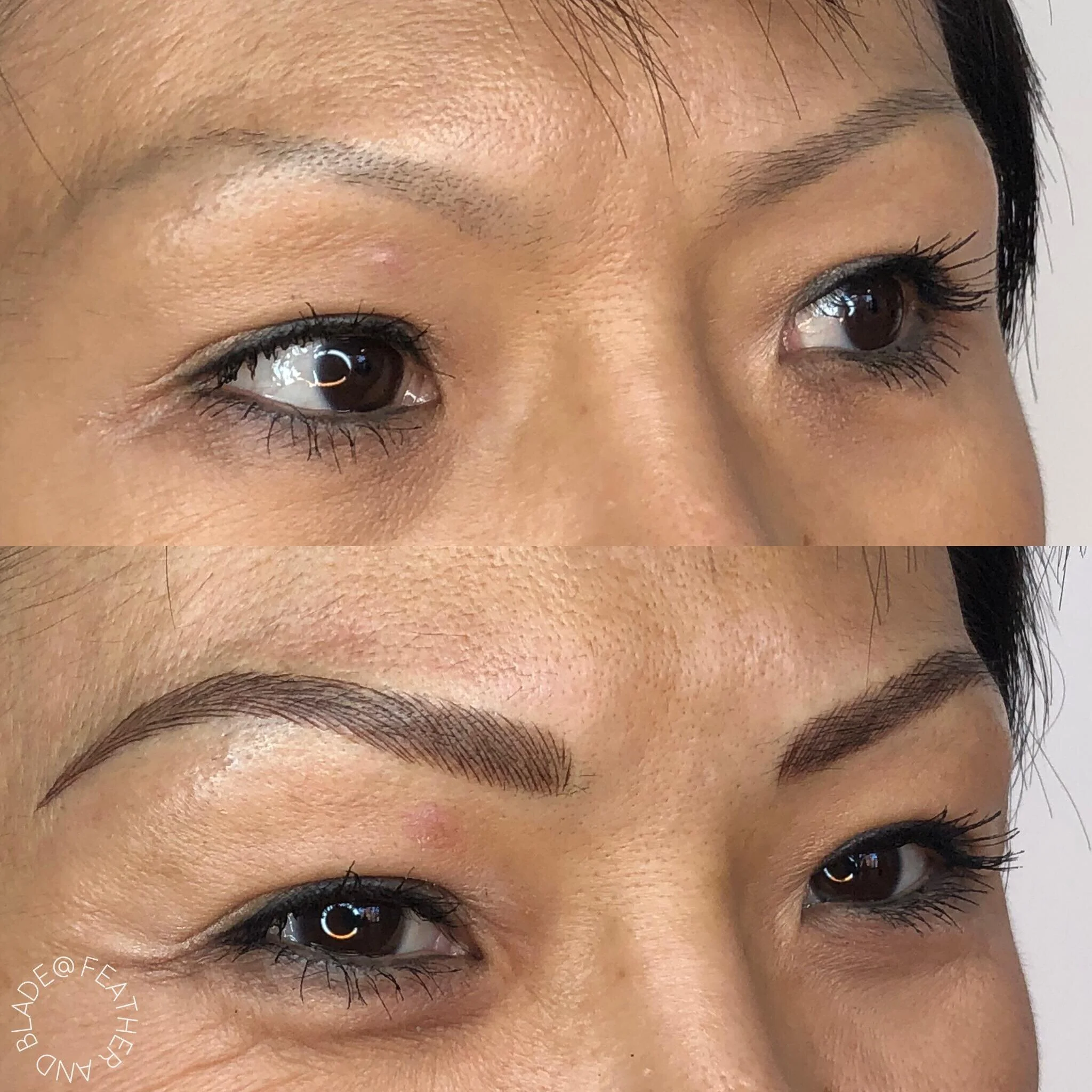 gallery — FEATHER & BLADE