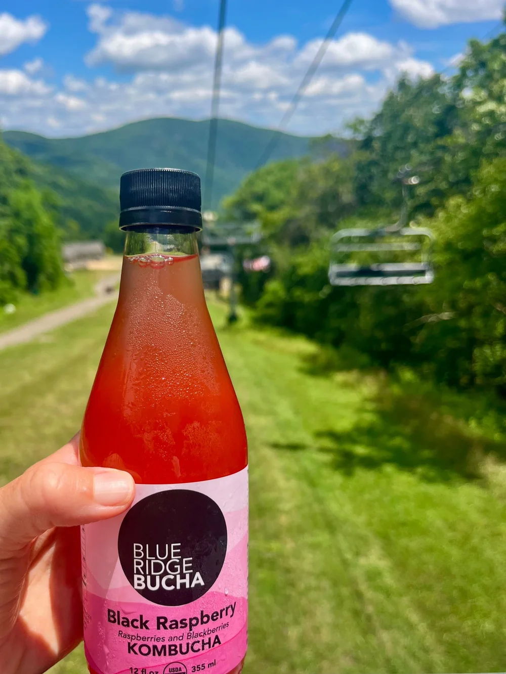 Blue Ridge Bucha