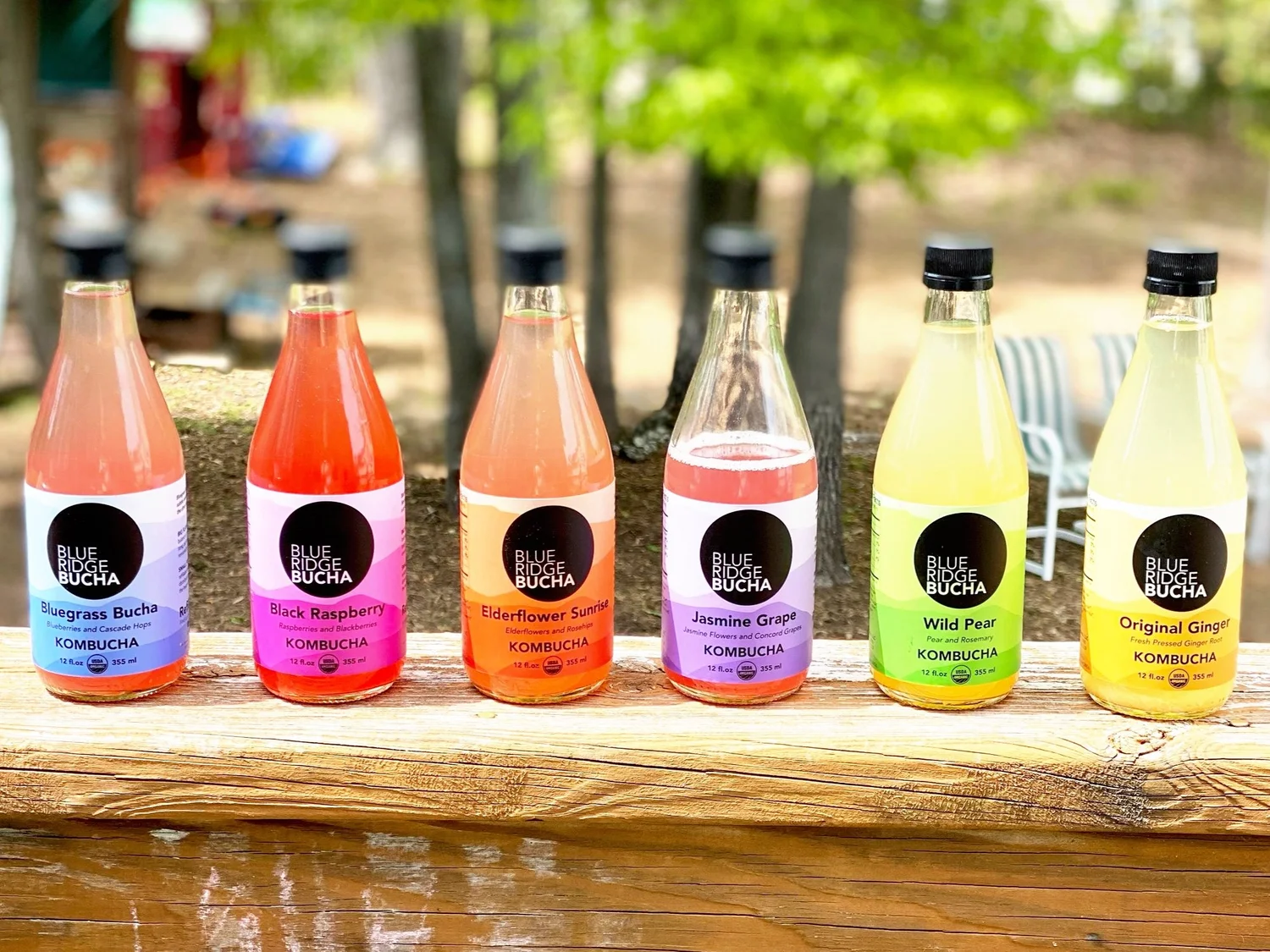 Our Story - Blue Ridge Bucha — Blue Ridge Bucha