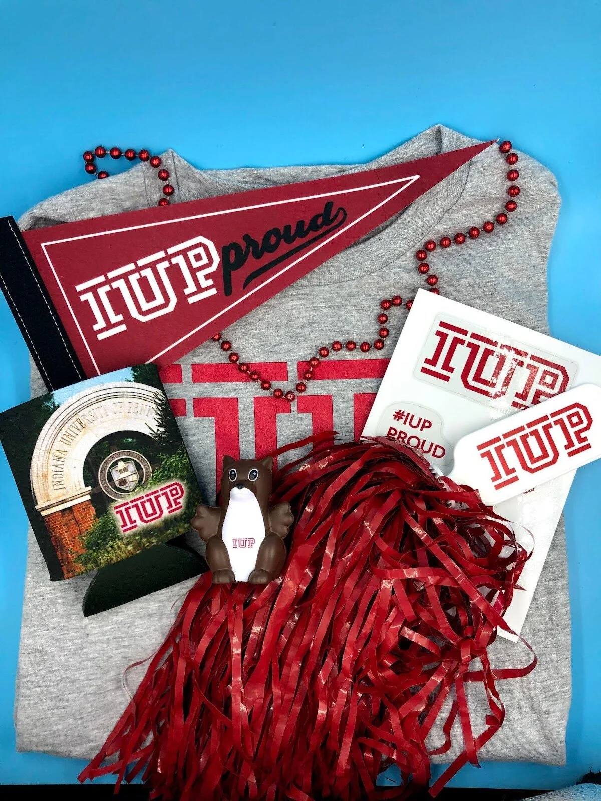 Why Your School Needs Custom Branded Swag — Liquid Screen Design