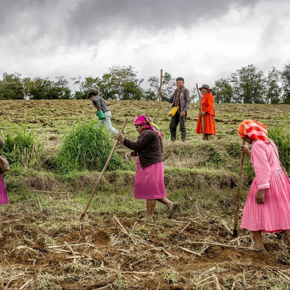 Explore by Theme — Teaching Central America