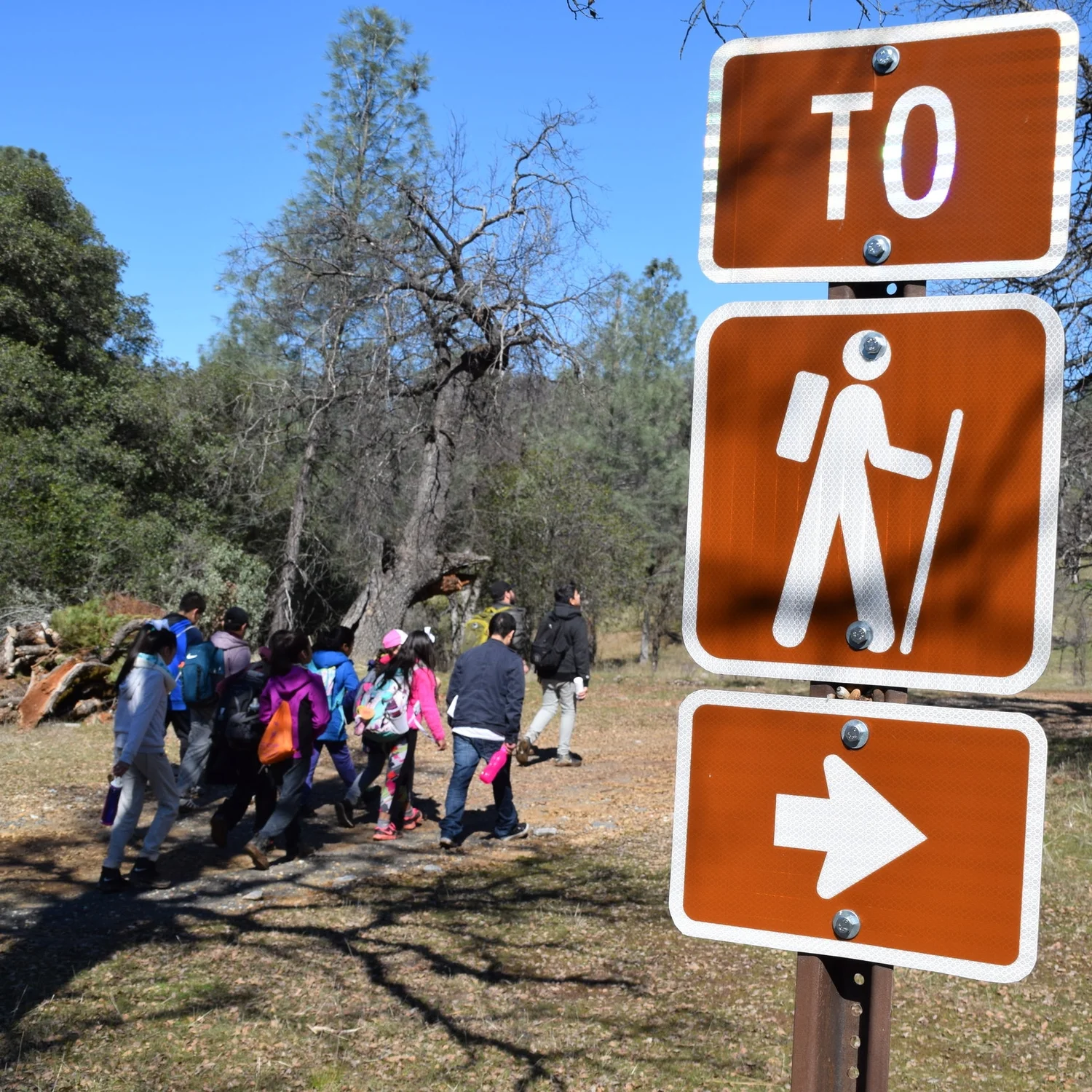 Program Details — Web of Life Field (WOLF) School