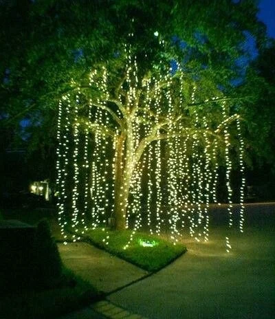 Summer Landscape Lighting — RSB Electrical